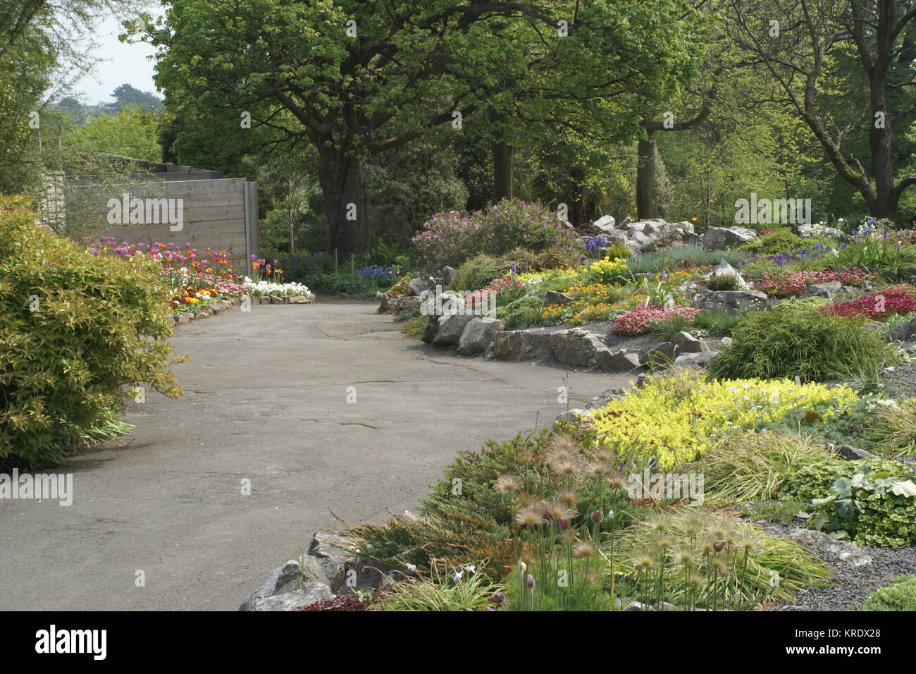 Singleton botanic gardens Stock Photo - Alamy