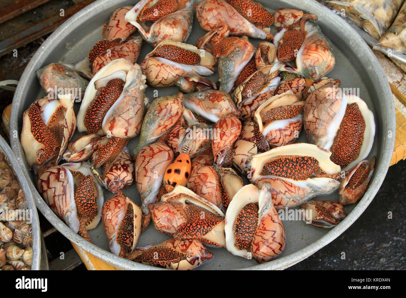 Edible snails hi-res stock photography and images - Alamy