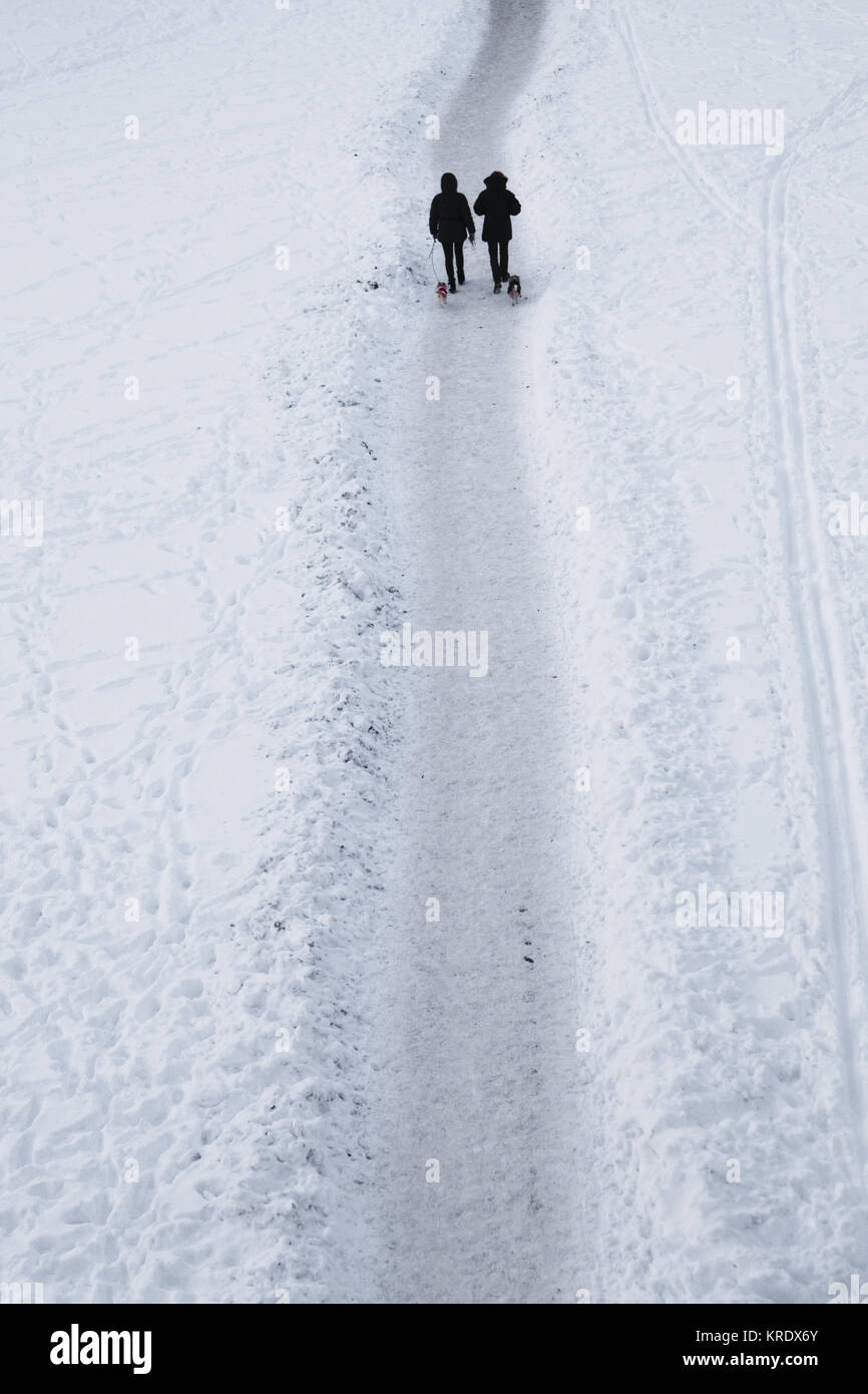 A couple and there dogs walk down up path, through the snow Stock Photo ...