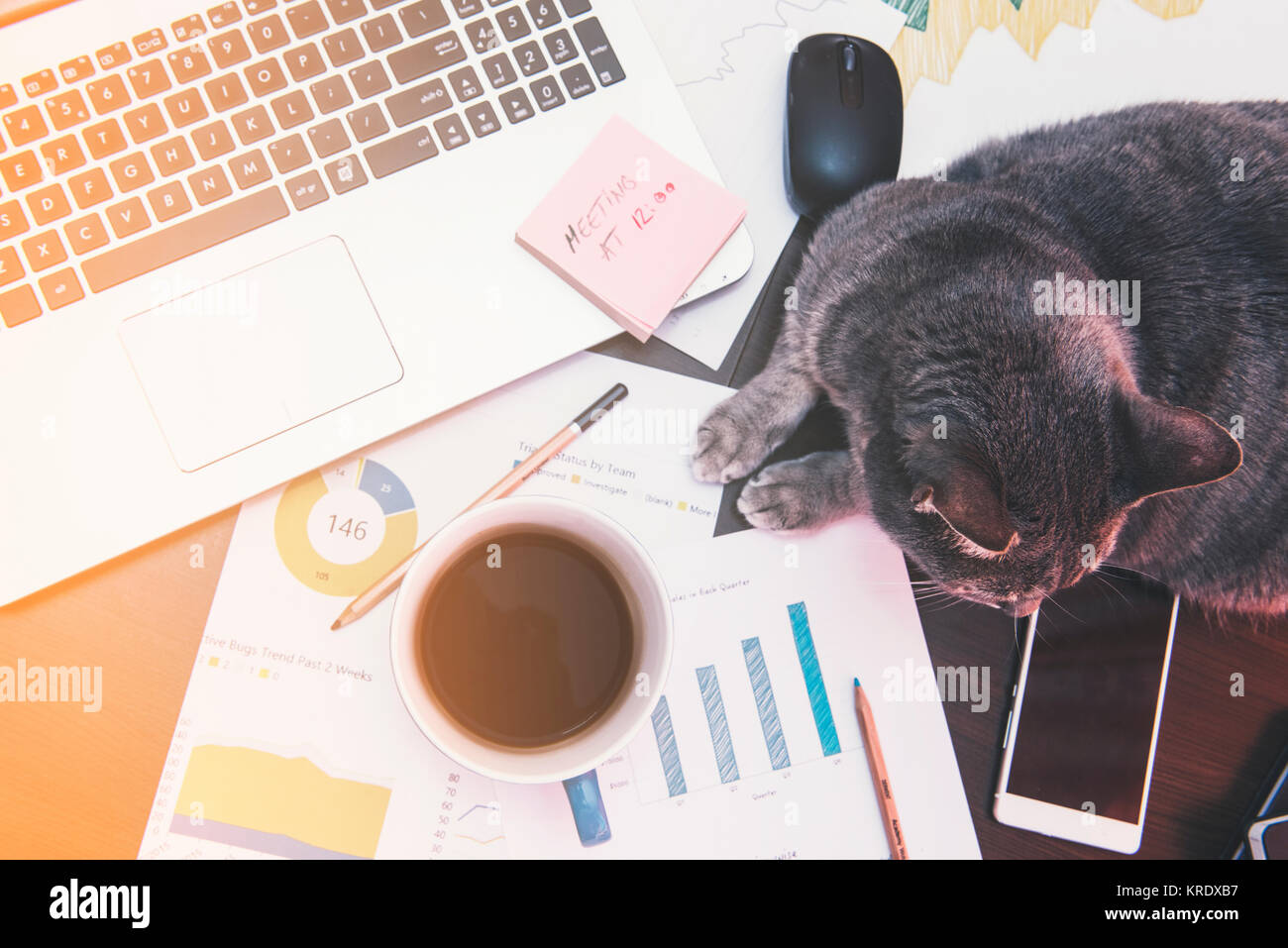 Working time concept Stock Photo - Alamy