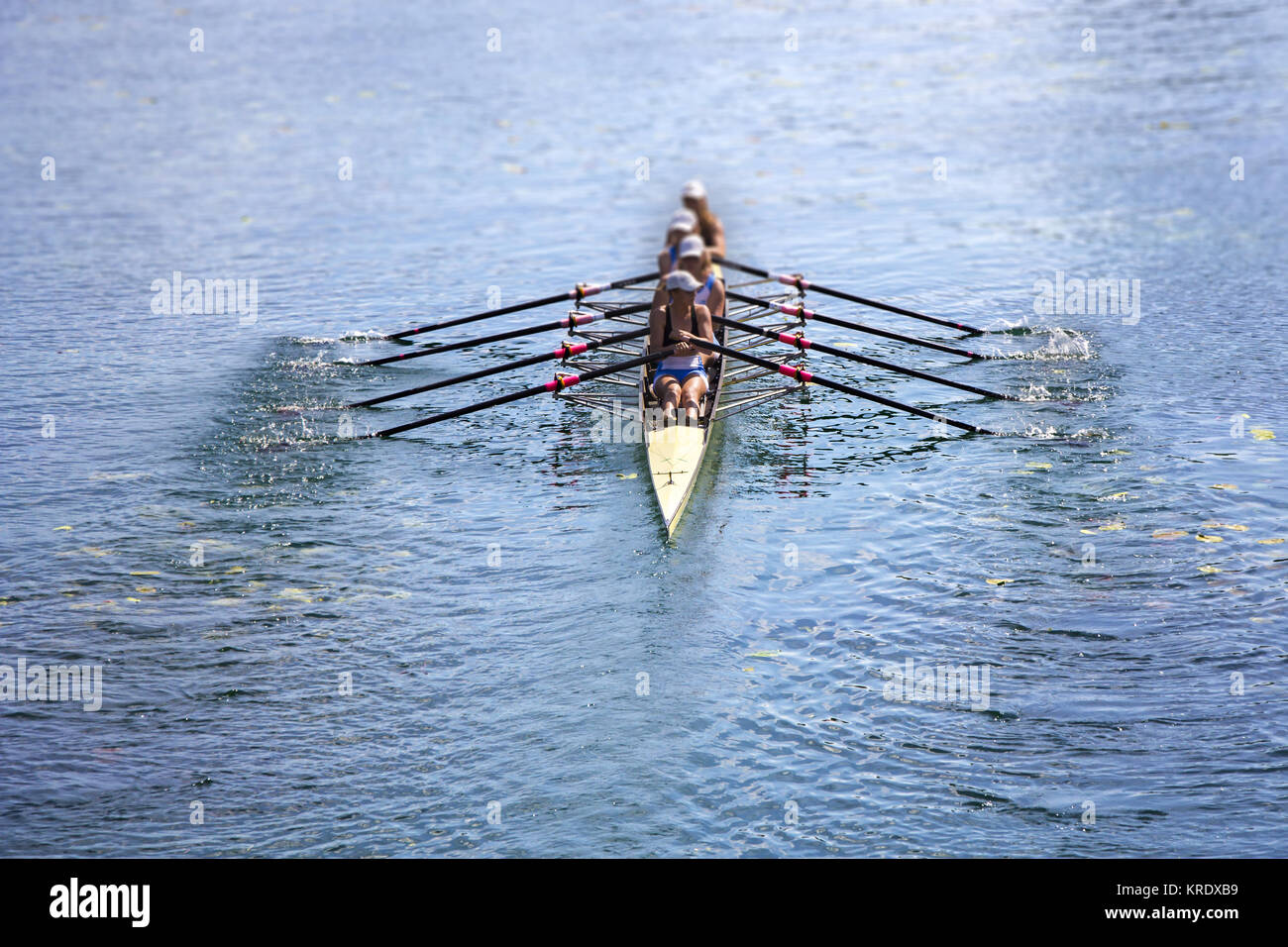 Team of rowing Four-oar women in boat Stock Photo - Alamy