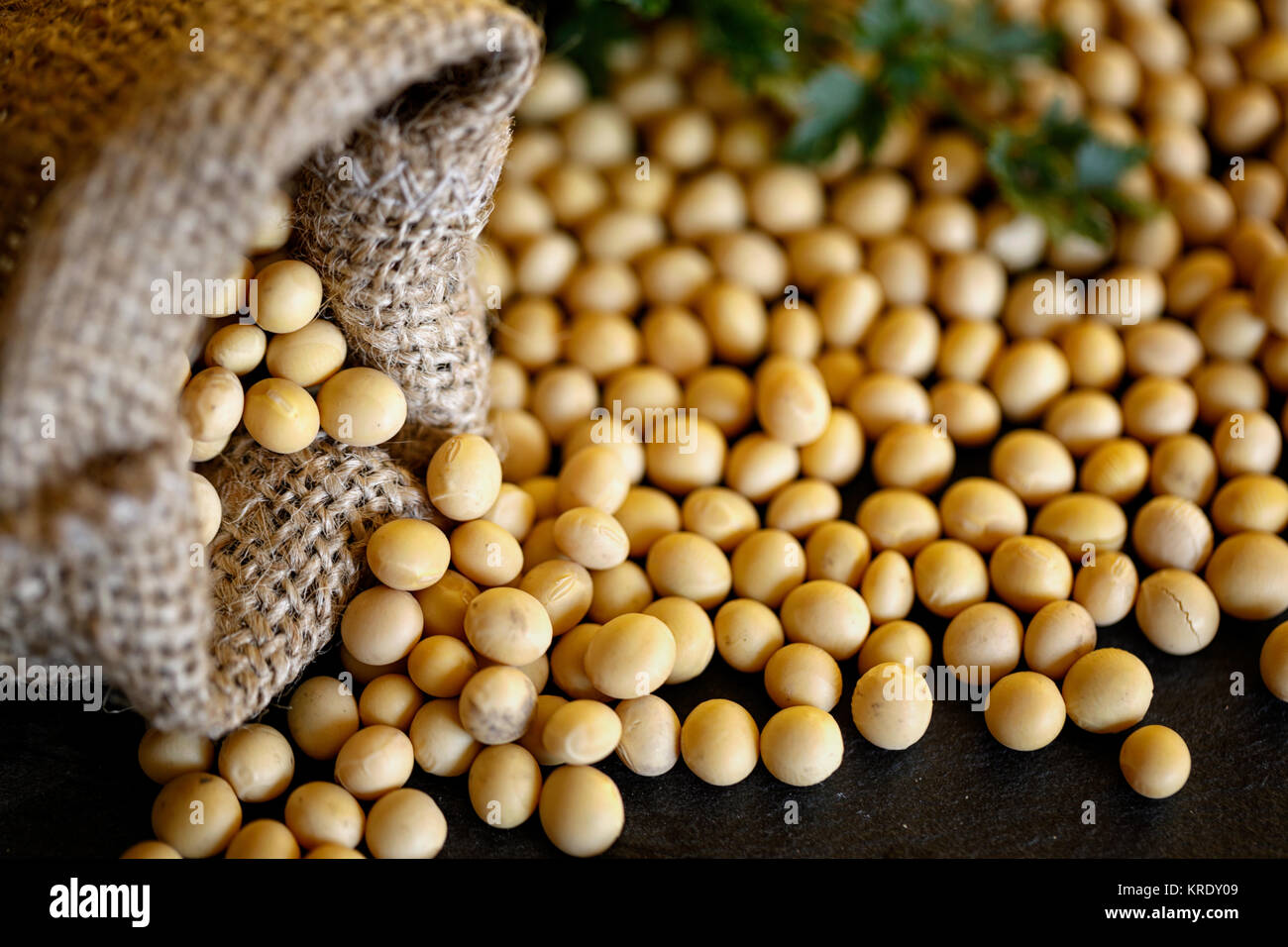 Close-up of raw organic soybeans, dark background Stock Photo - Alamy