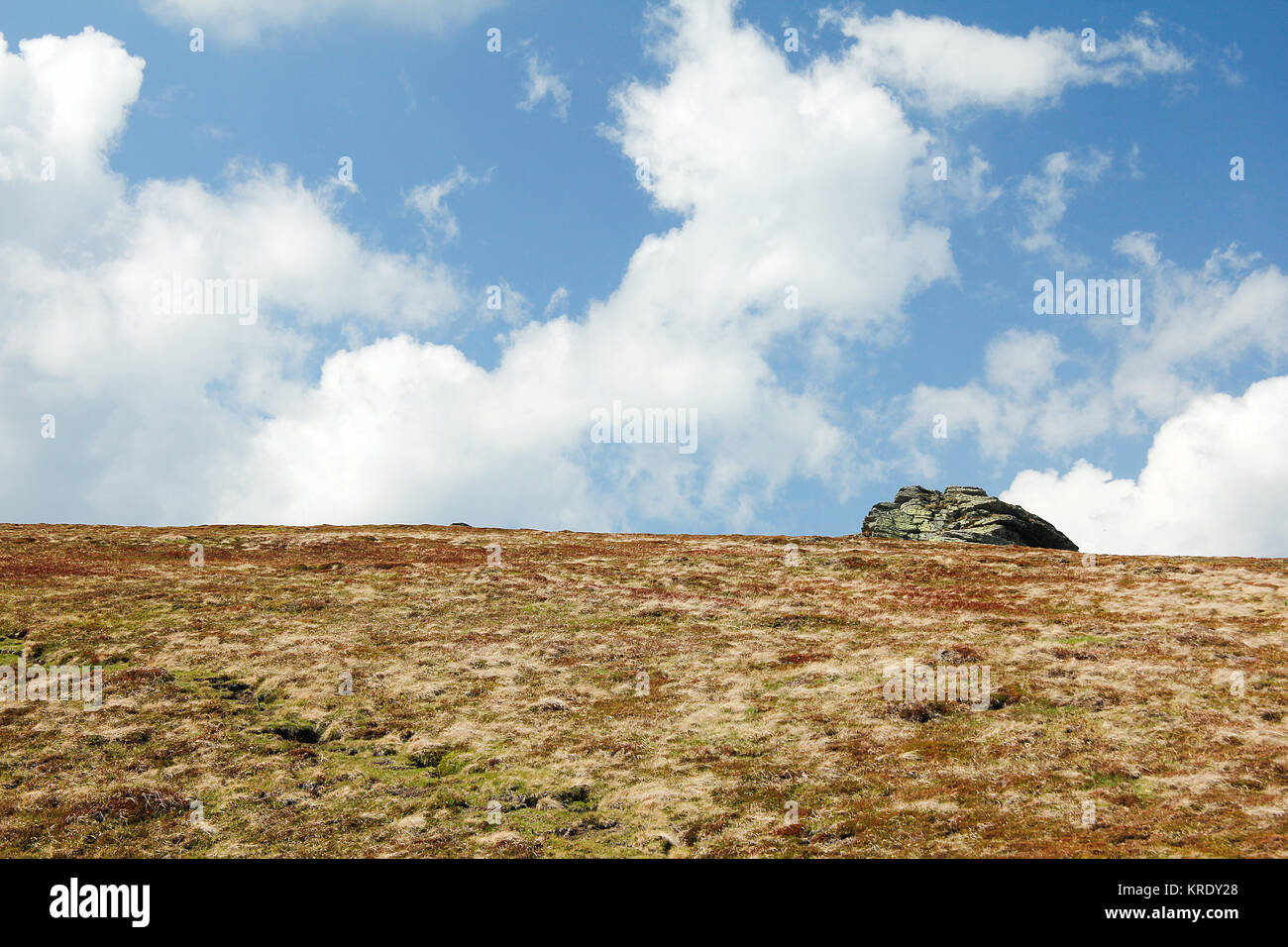 rock in the summer on a mountain pasture Stock Photo - Alamy