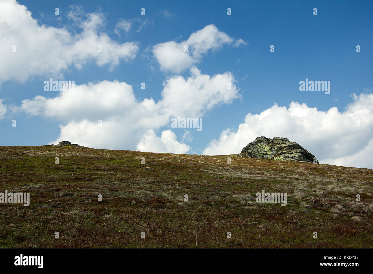 rock in the summer on a mountain pasture Stock Photo - Alamy