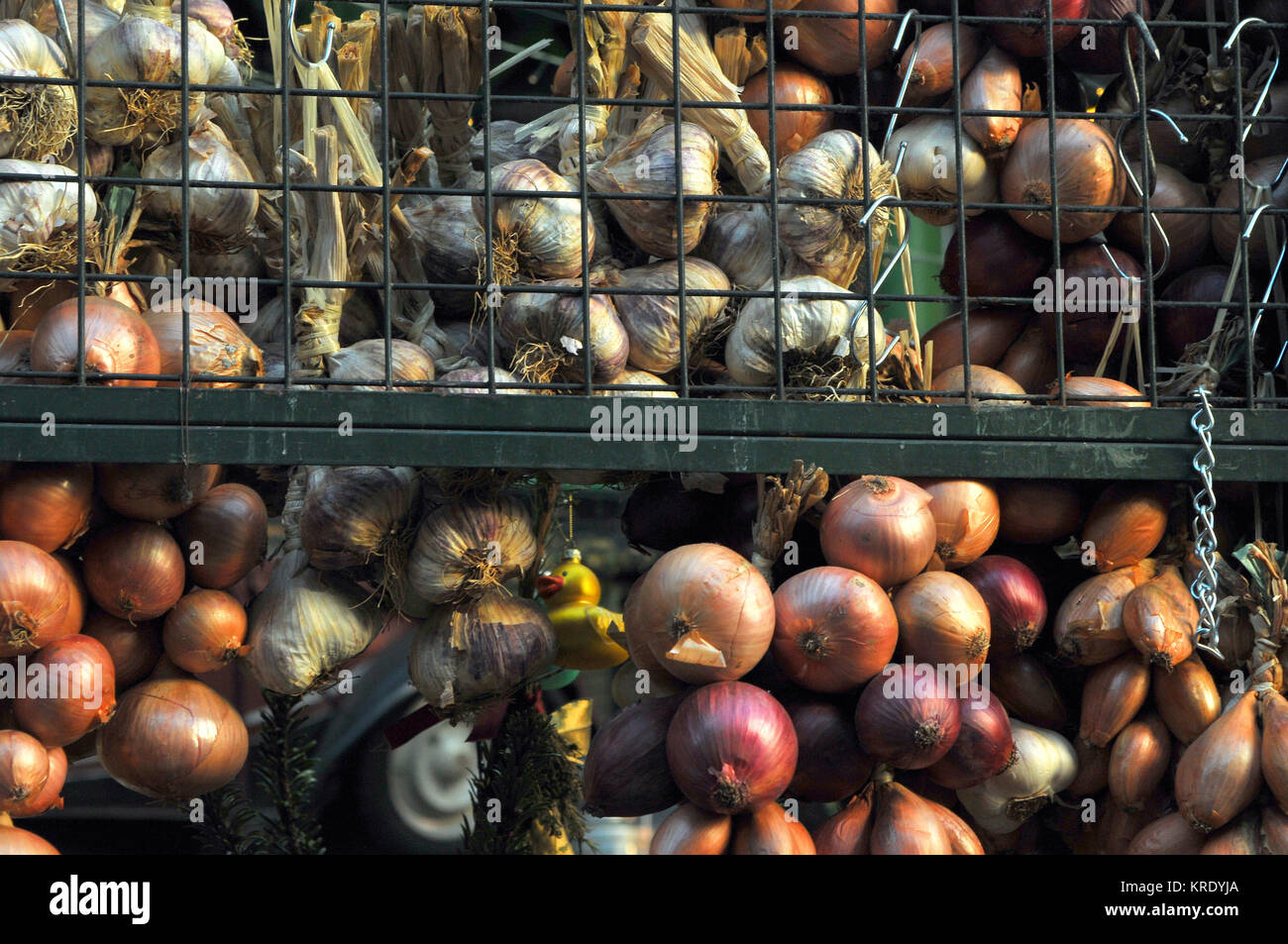 A variety of different types of onions for sale at a stall on borough ...