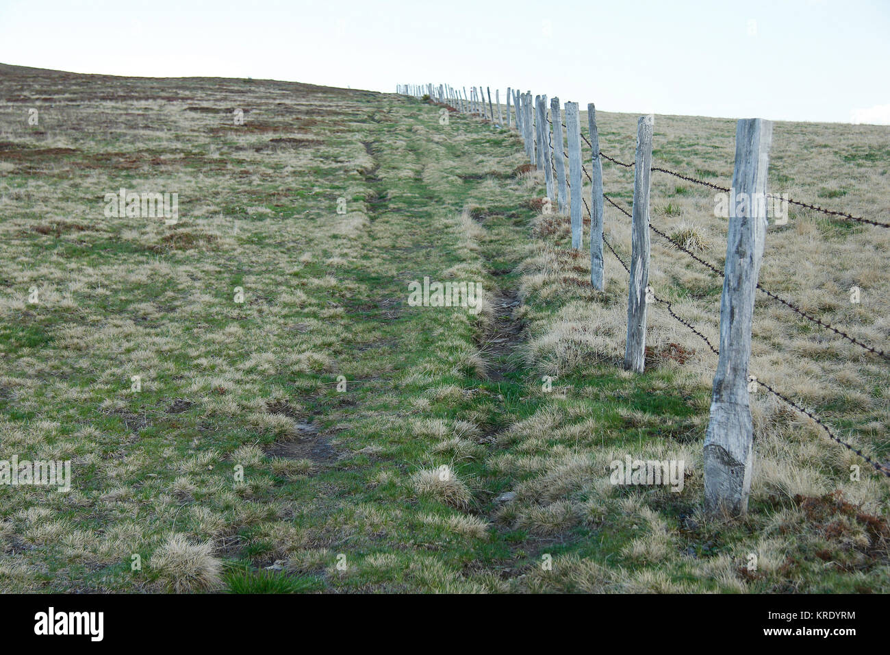 sprawling landscape in the mountains in summer Stock Photo - Alamy