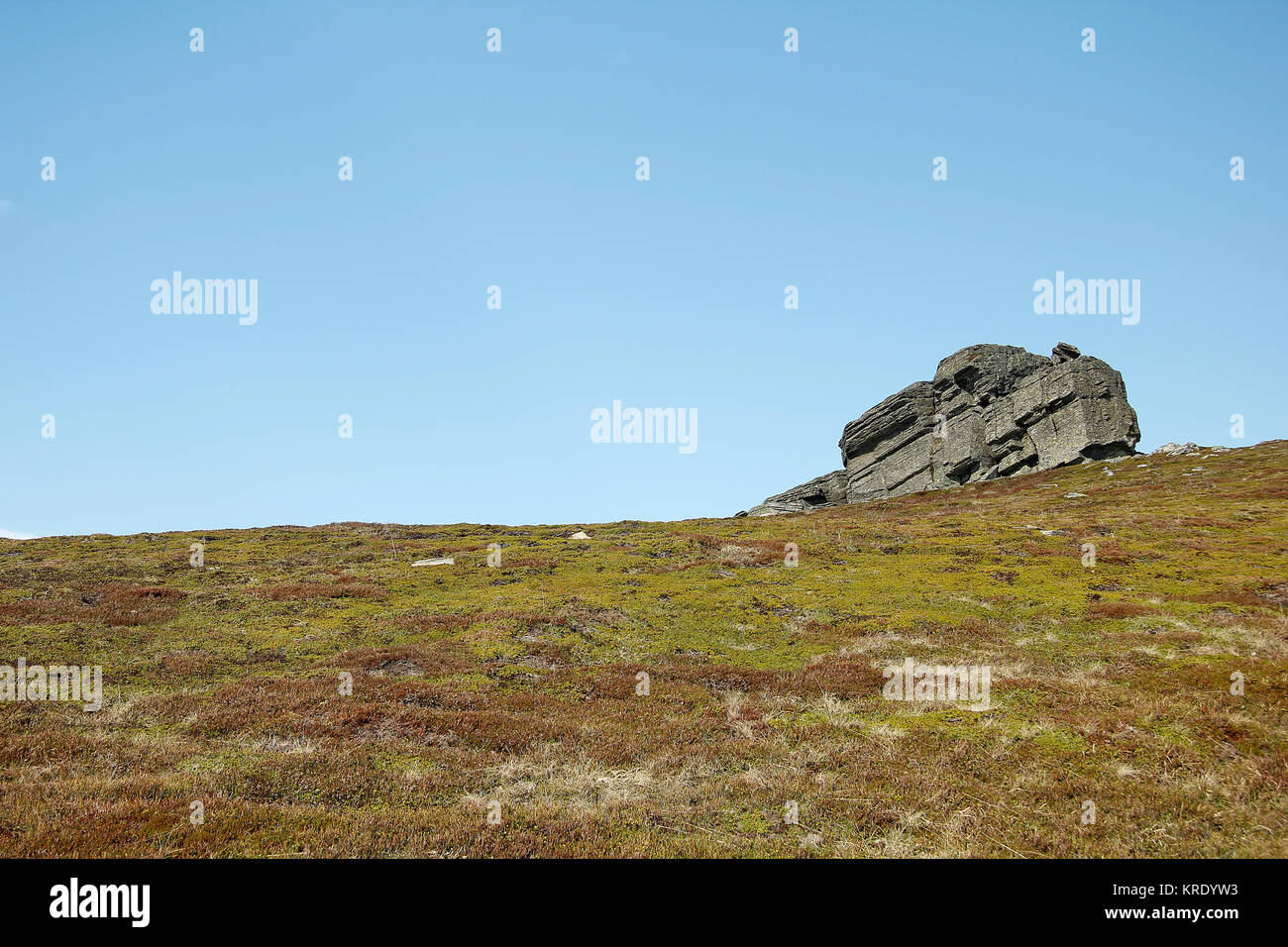 rock on high alpine pasture Stock Photo - Alamy