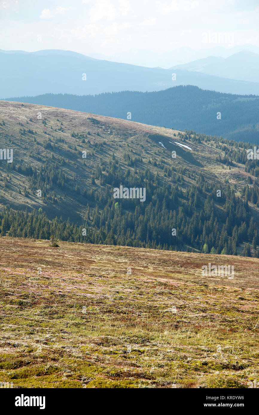 extensive landscape on a high alpine pasture Stock Photo - Alamy