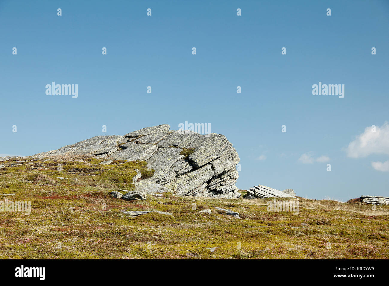 rock on high alpine pasture Stock Photo - Alamy