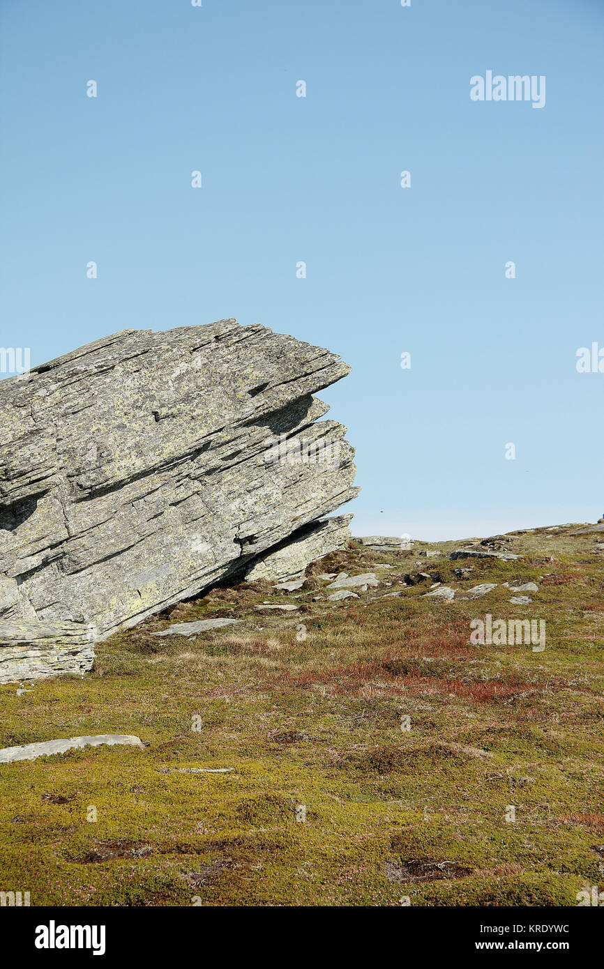 rock on high alpine pasture Stock Photo - Alamy