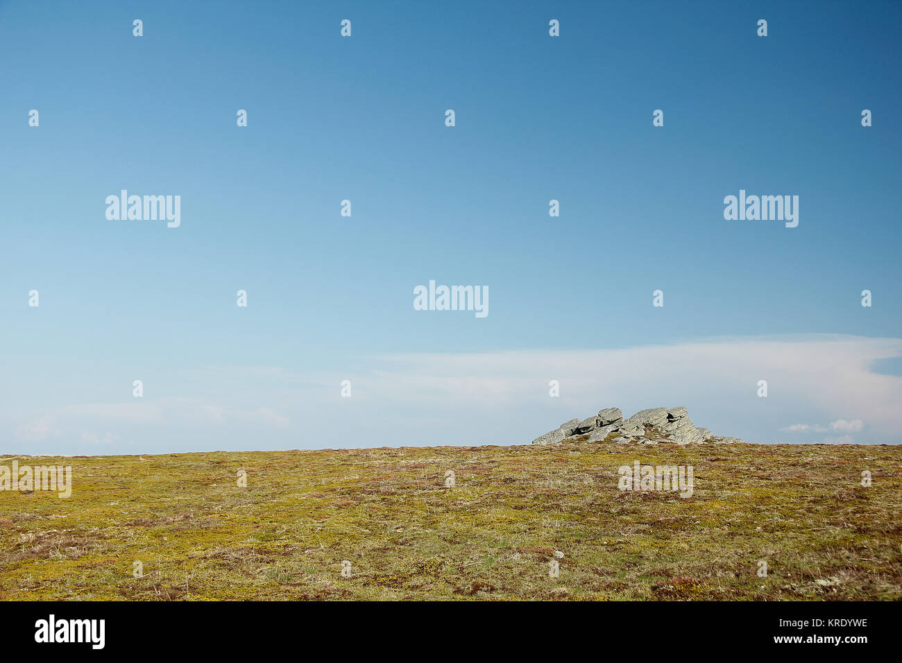 rock on high alpine pasture Stock Photo - Alamy