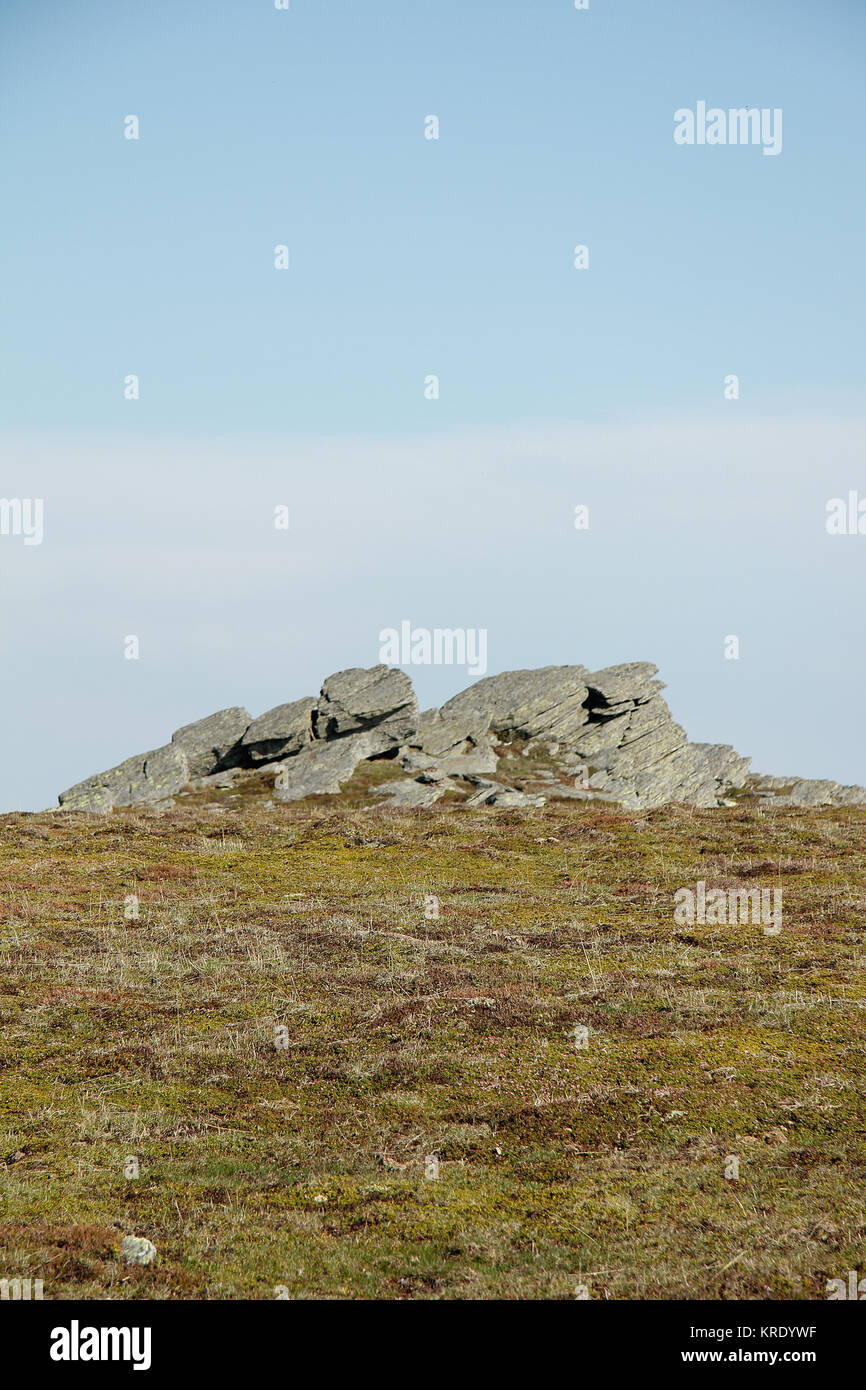 rock on high alpine pasture Stock Photo - Alamy