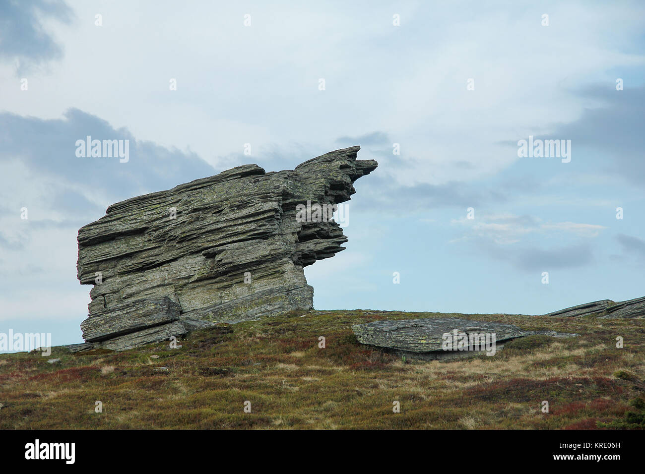 rock on high alpine pasture Stock Photo - Alamy