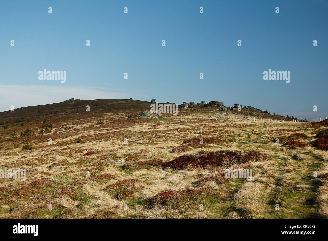 extensive landscape on a high alpine pasture Stock Photo - Alamy
