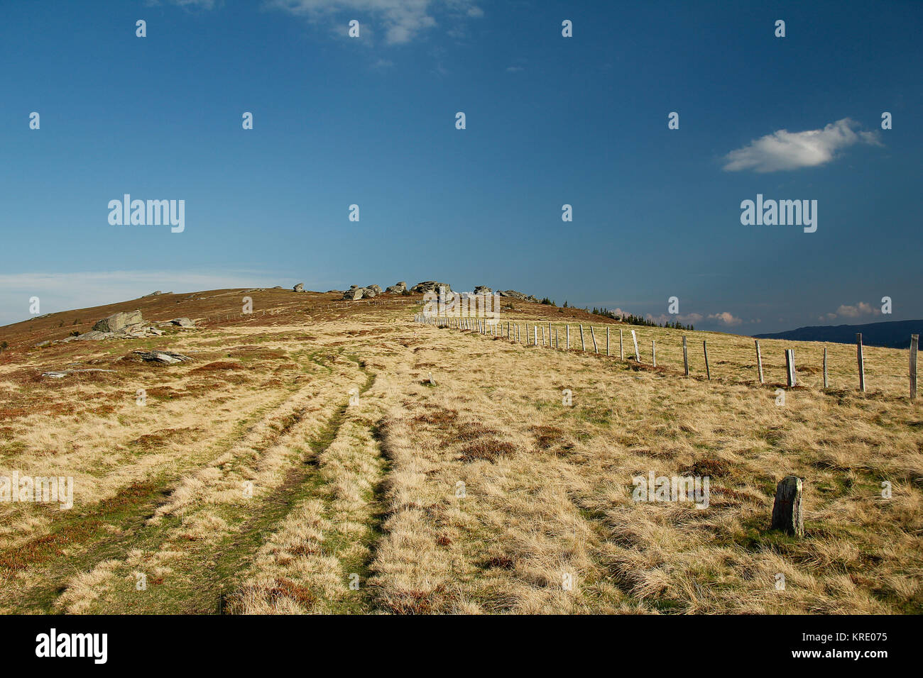 extensive landscape on a high alpine pasture Stock Photo - Alamy