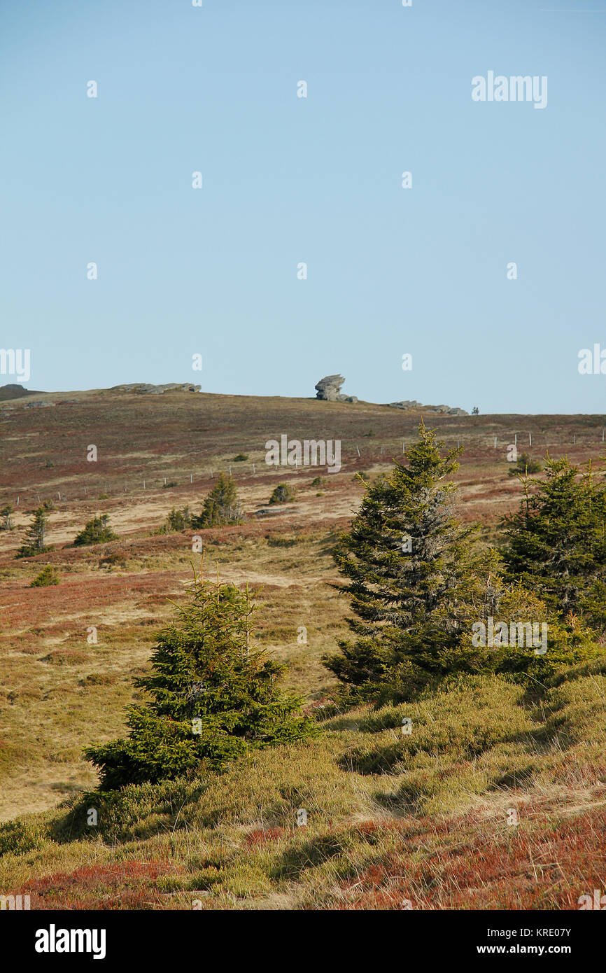 extensive landscape high on a mountain pasture in summer Stock Photo ...
