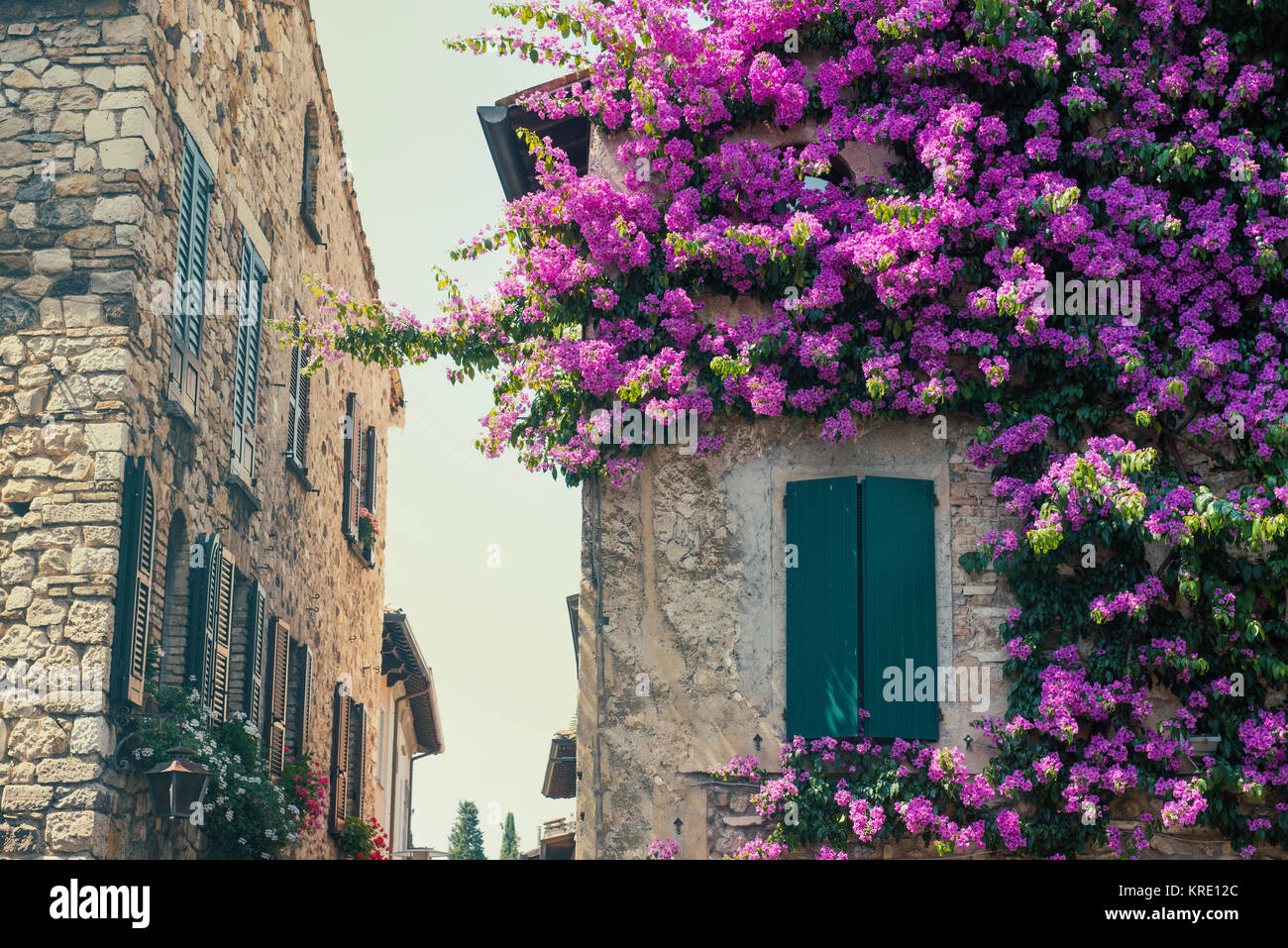 Beautiful window covered with flowers in Italy Stock Photo - Alamy