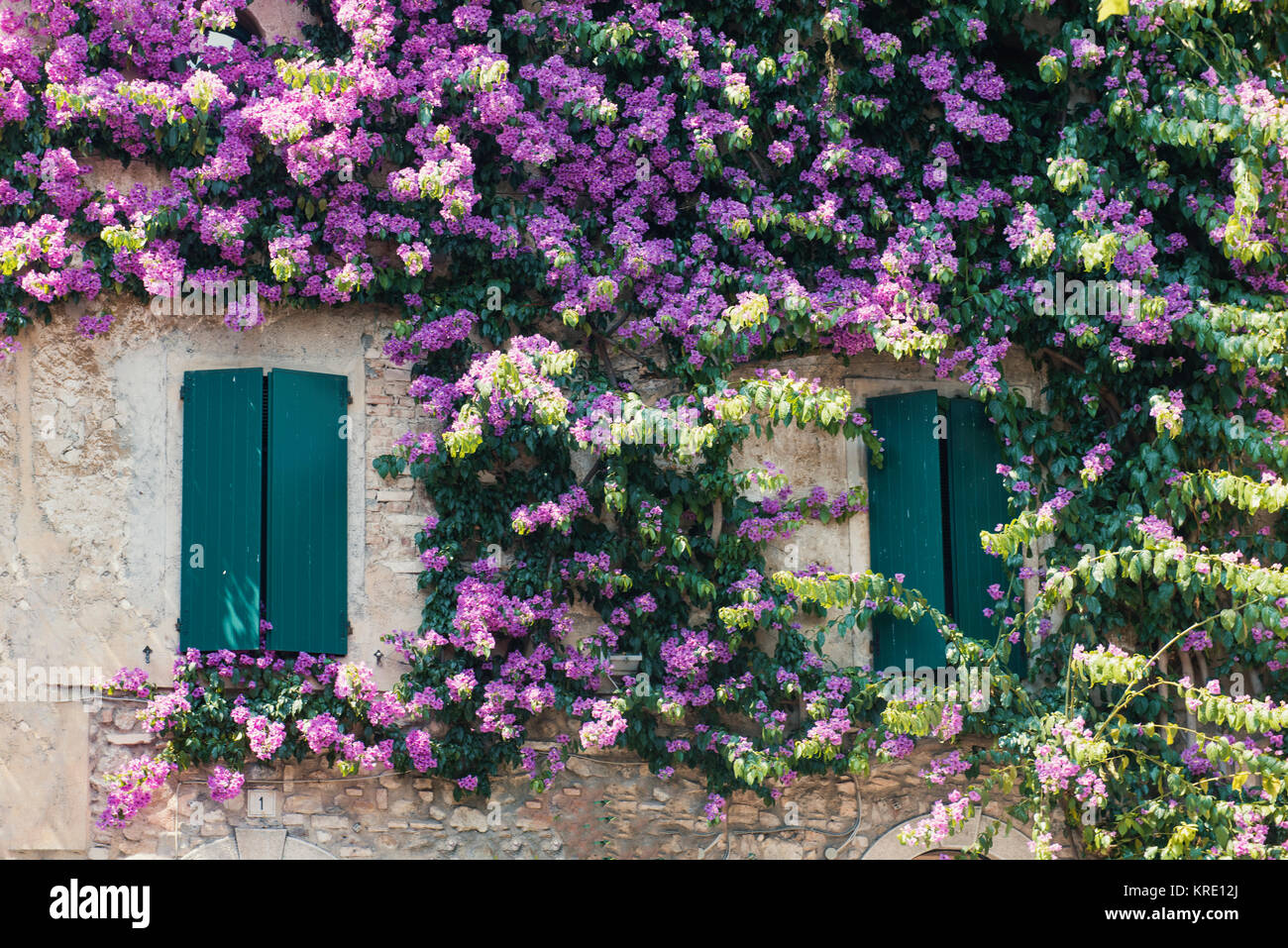 Beautiful window covered with flowers in Italy Stock Photo - Alamy