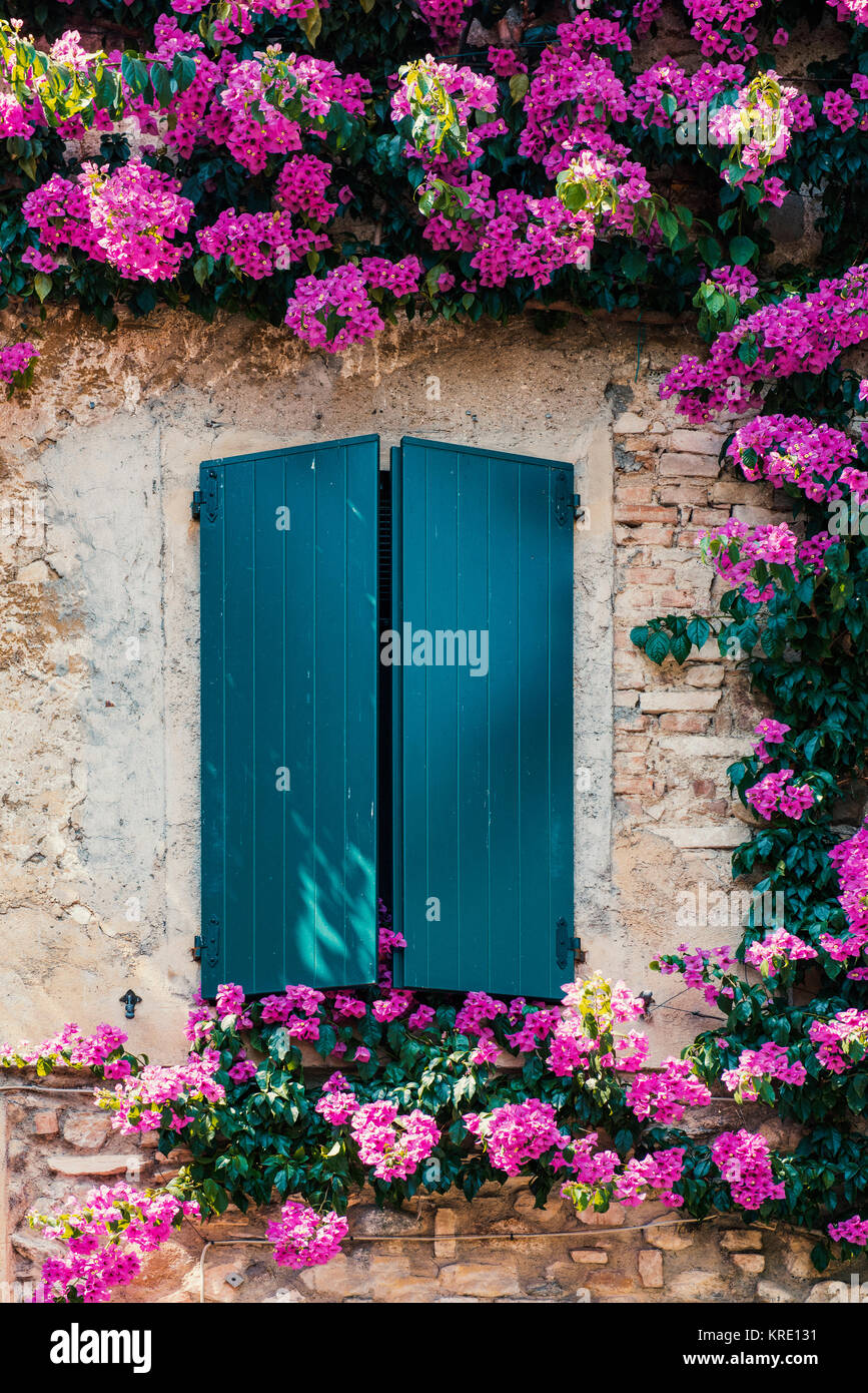 Beautiful window covered with flowers in Italy Stock Photo - Alamy