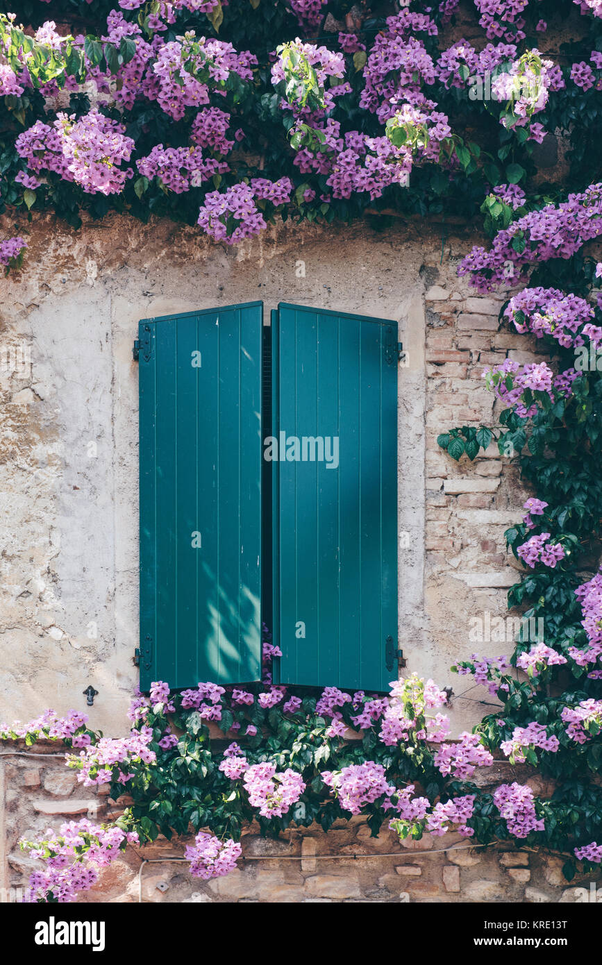 Beautiful window covered with flowers in Italy Stock Photo - Alamy