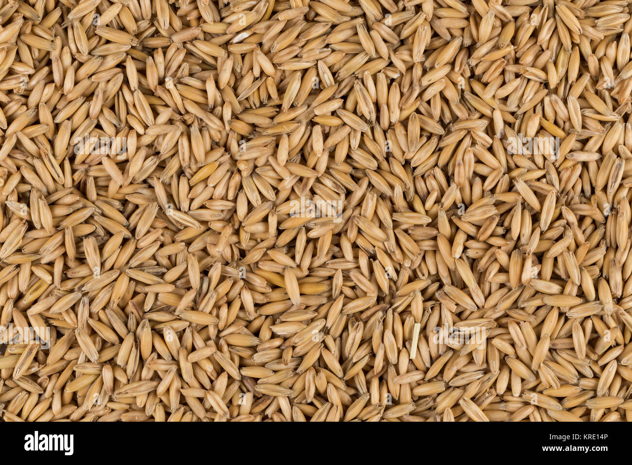 natural oat grains background, closeup Stock Photo - Alamy