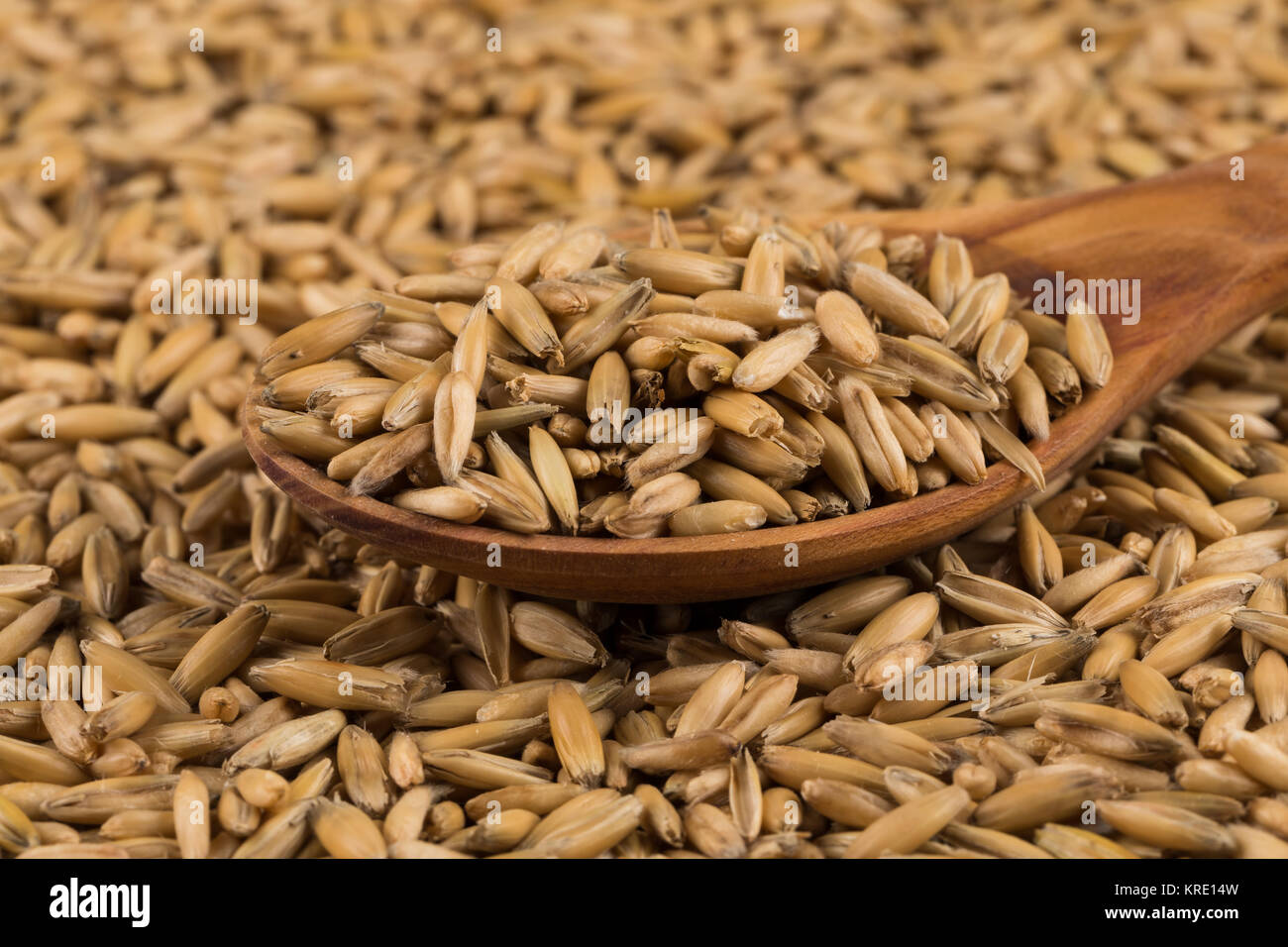 natural oat grains background, closeup Stock Photo - Alamy