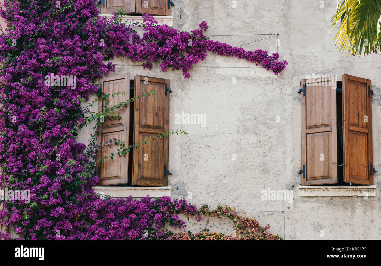 Beautiful window covered with flowers in Italy Stock Photo - Alamy