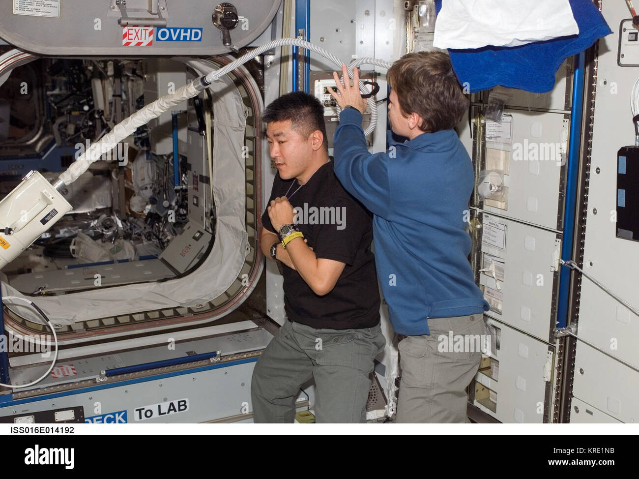 Daniel tani hi-res stock photography and images - Alamy