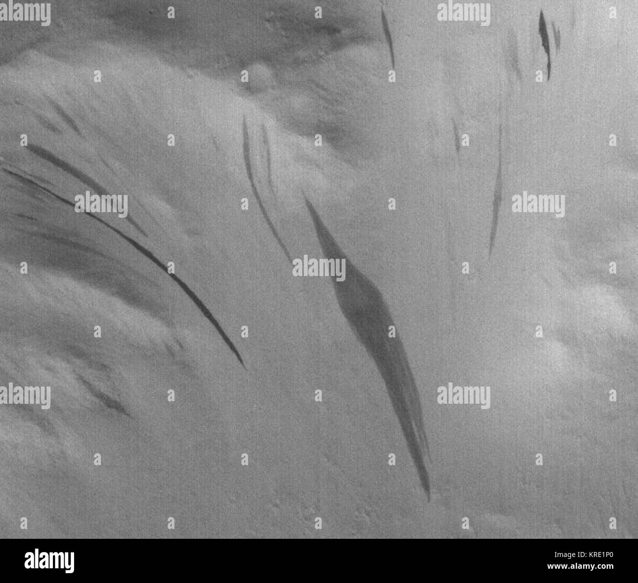 Diacria hi-res stock photography and images - Alamy