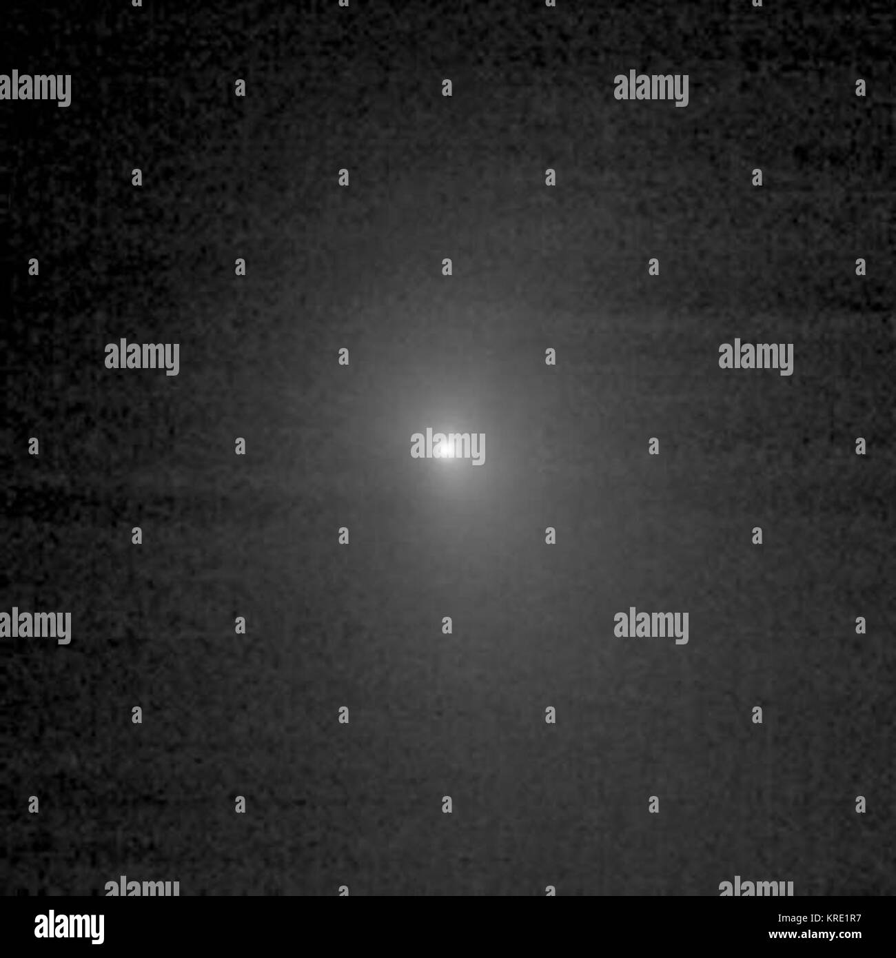 DI MRI log T1 doy178 Stock Photo - Alamy