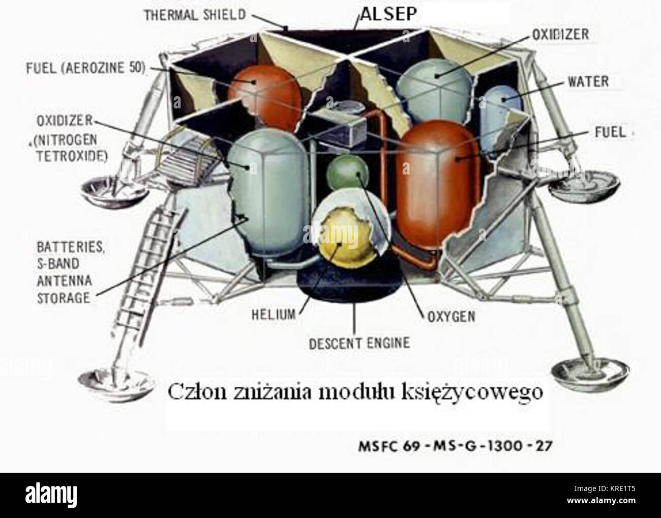 Exploration stage Cut Out Stock Images & Pictures - Alamy