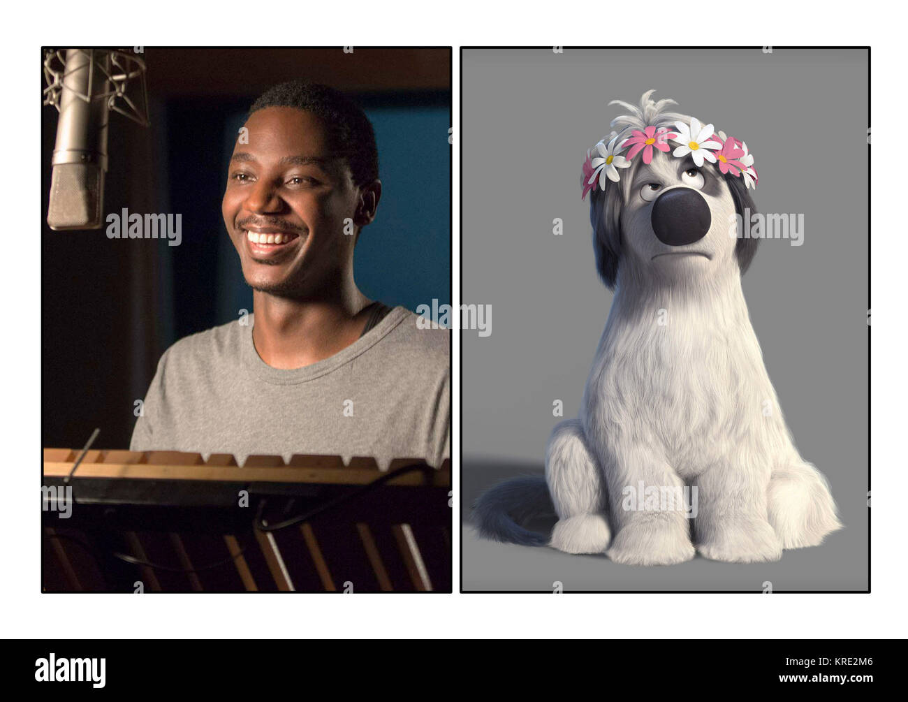 FERDINAND, Jerrod Carmichael (voice of Paco), 2017. ph: Brian Gordon ...