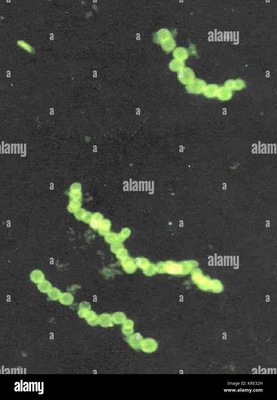 Sulphide photography hi-res stock photography and images - Alamy