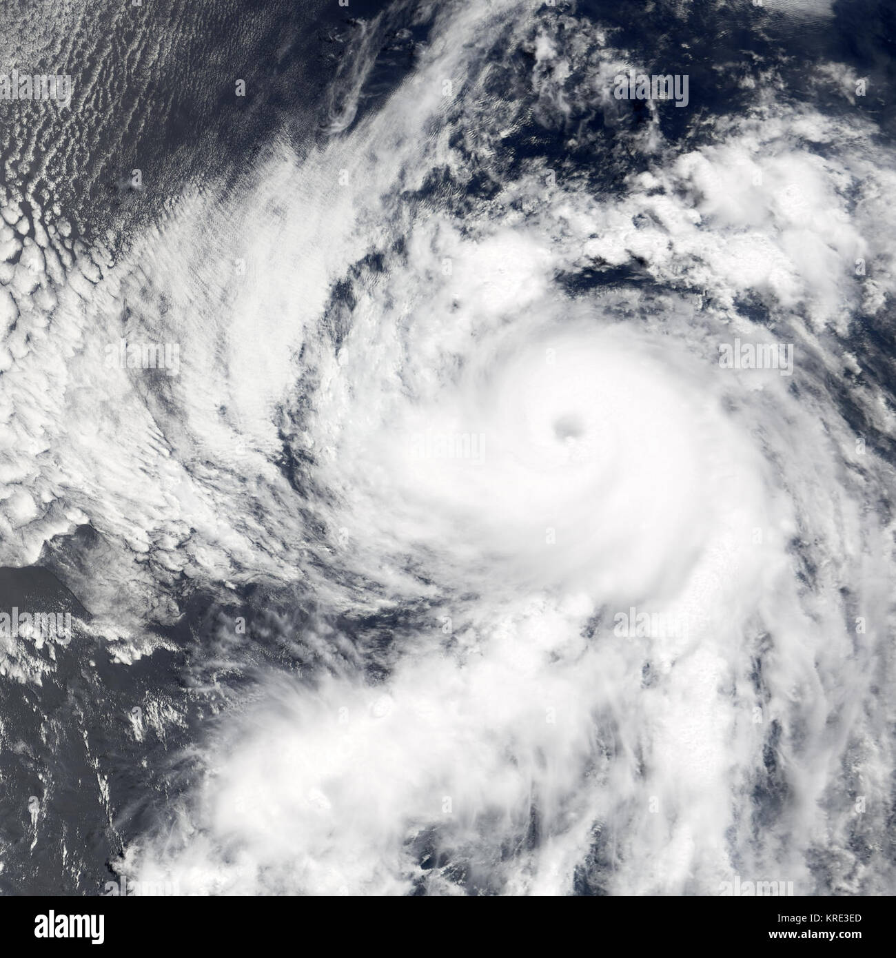 Bud formation hi-res stock photography and images - Alamy