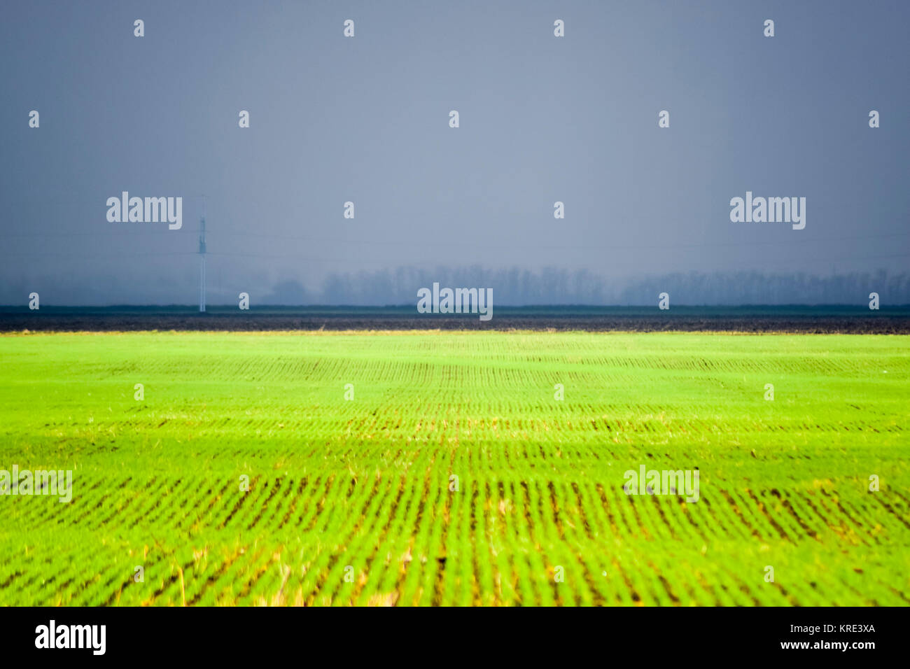 Direct sowing of seed hi-res stock photography and images - Alamy