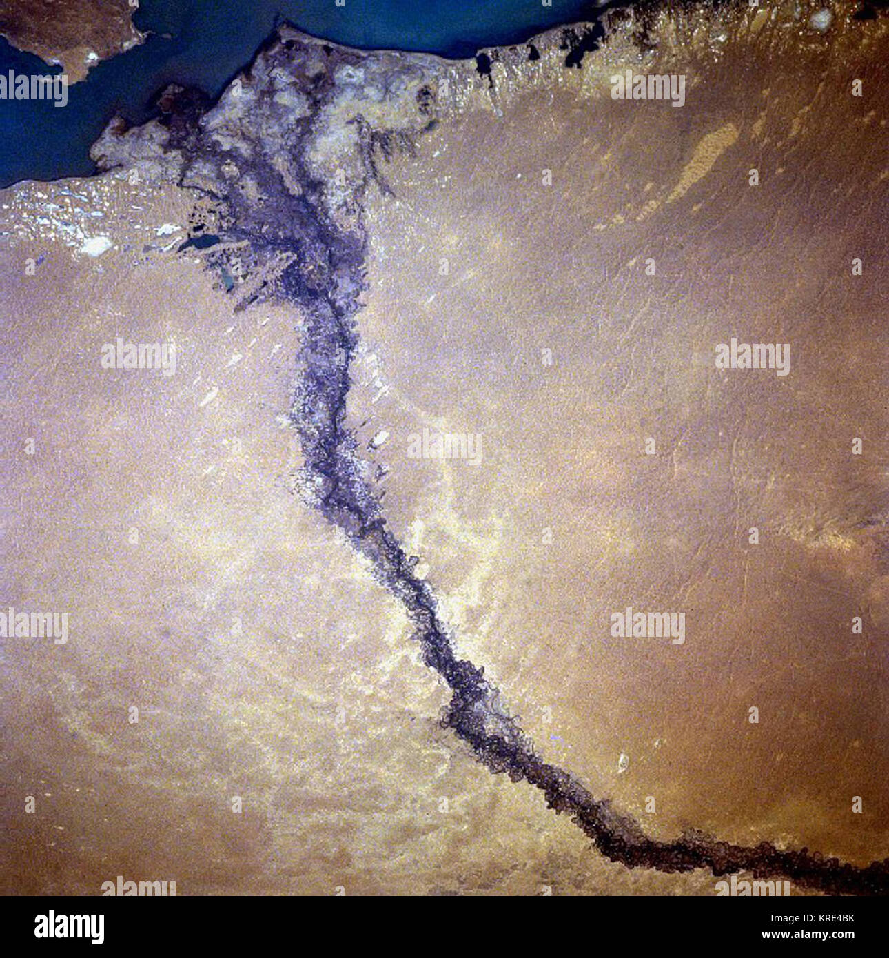 Karatal hi-res stock photography and images - Alamy