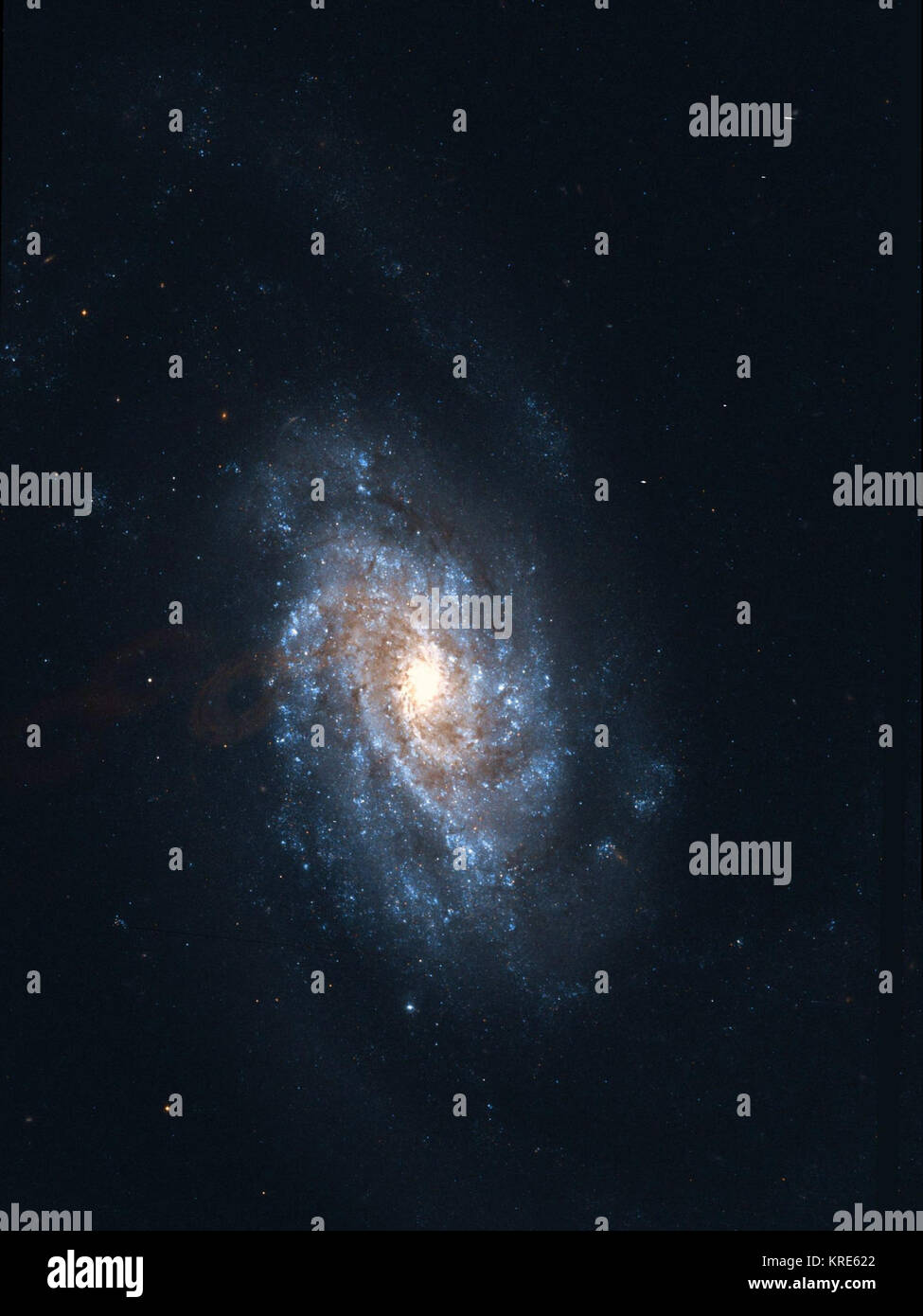 NGC 3455 Hubble WikiSky Stock Photo - Alamy