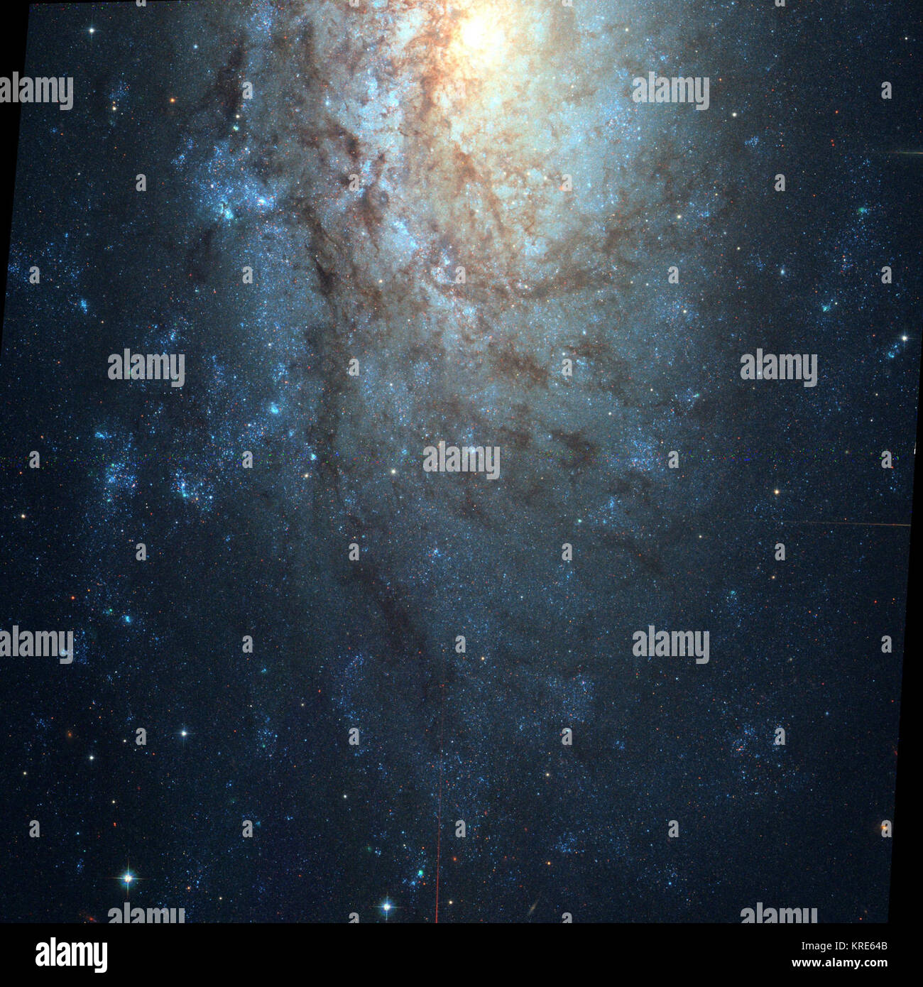 NGC 3621 Hubble WikiSky Stock Photo - Alamy