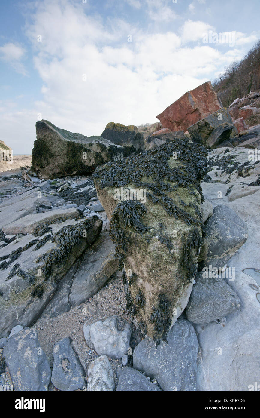 Rock fall at Oxwich point, Gower Stock Photo - Alamy