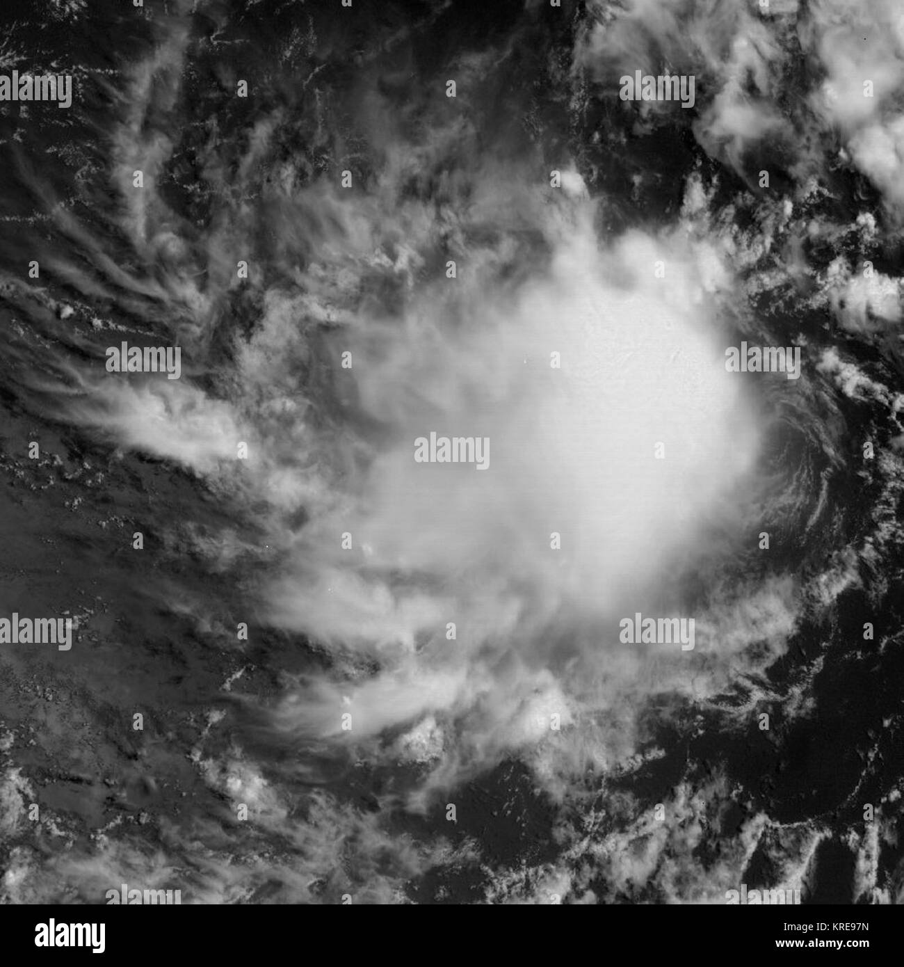 Gilma hi-res stock photography and images - Alamy