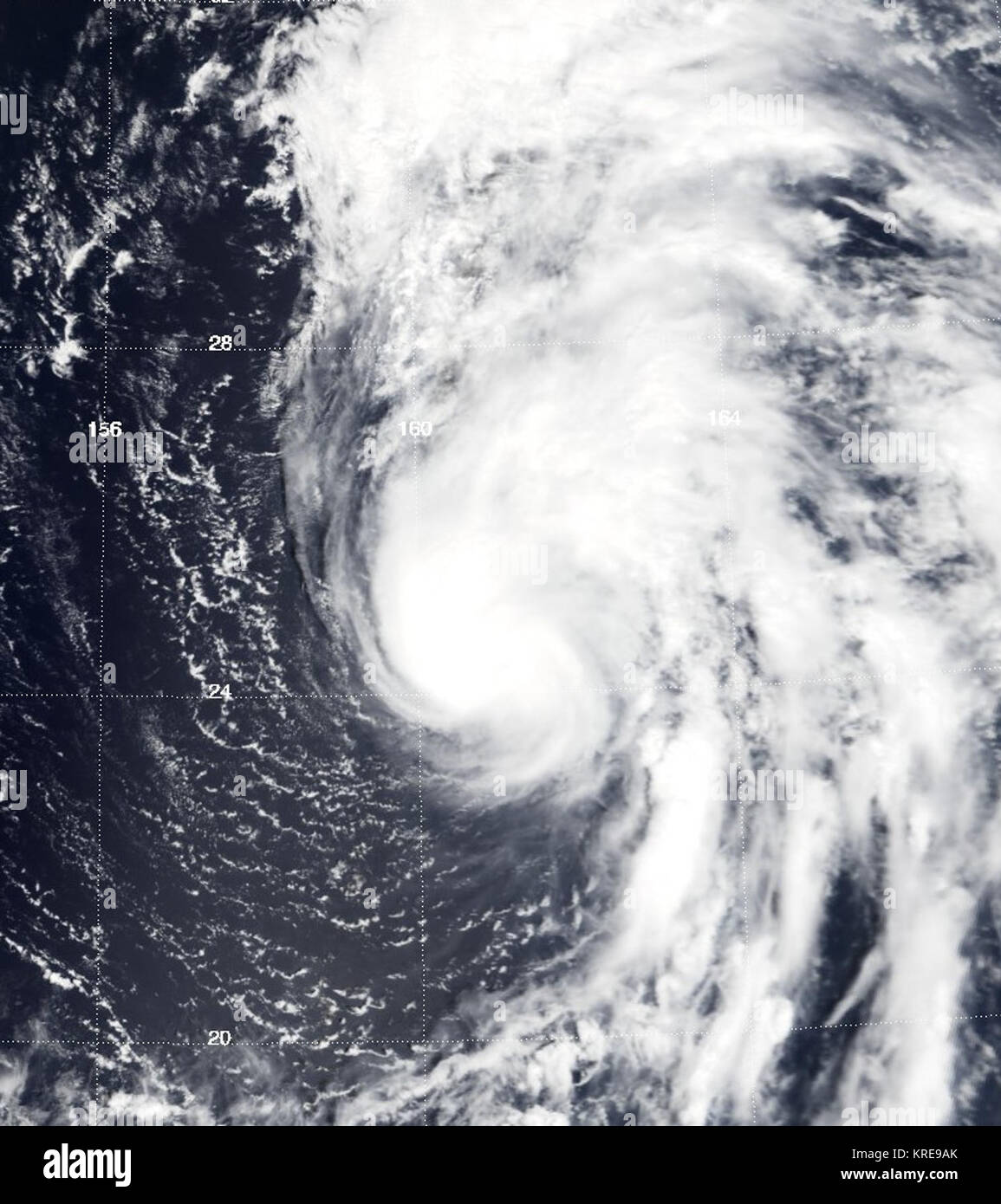 Sepat hi-res stock photography and images - Alamy