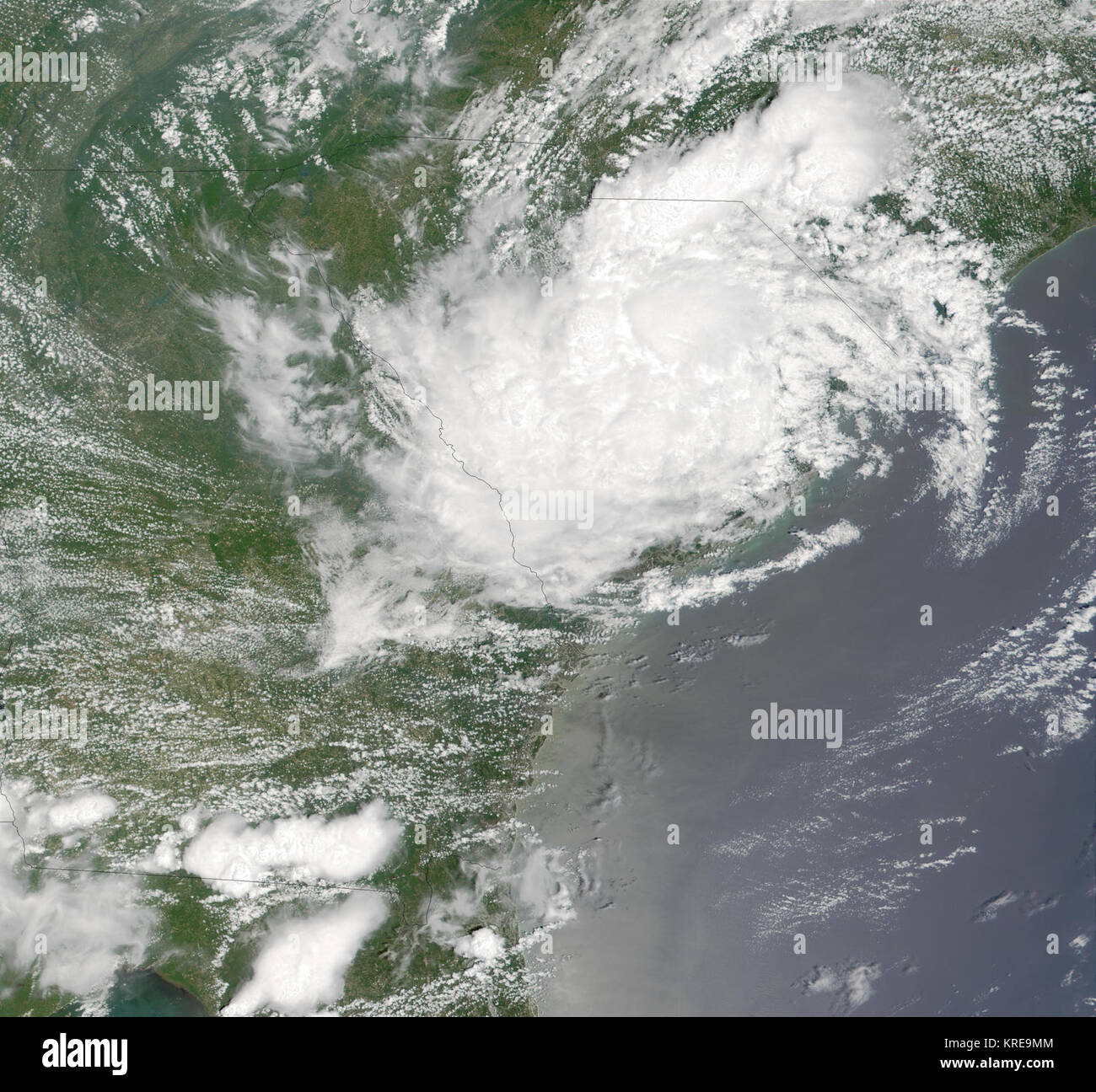 Tropical Storm Allison- SC Stock Photo - Alamy