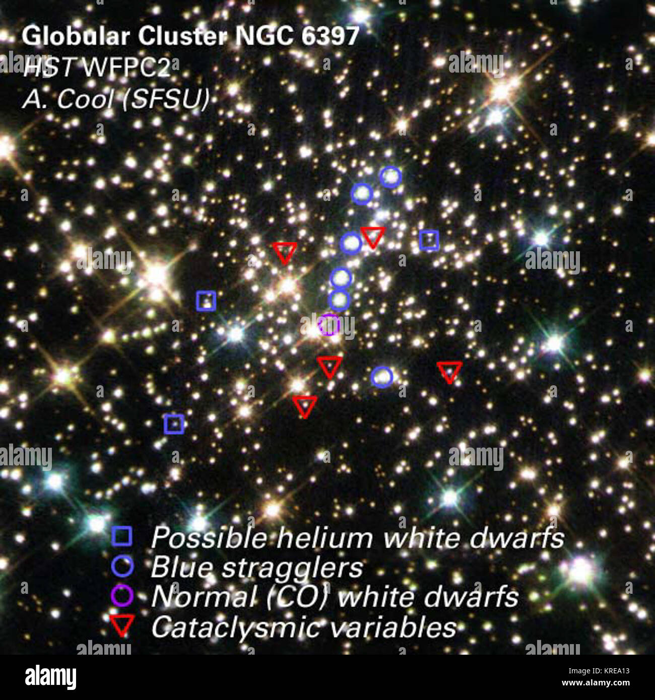 White Star Cluster