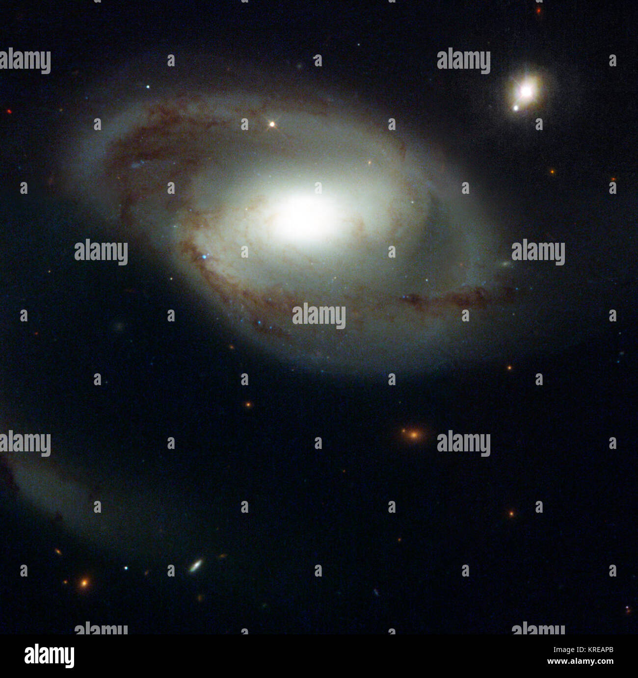 I file hi-res stock photography and images - Alamy