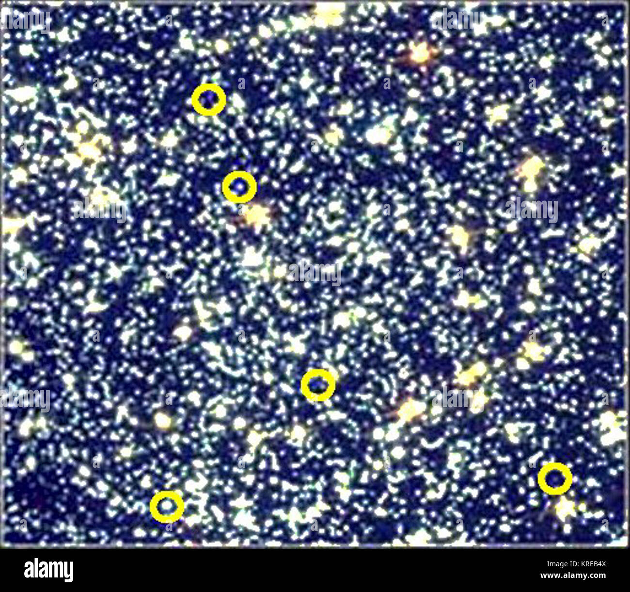 47 Tucanae - Blauwe achterblijvers Stock Photo - Alamy