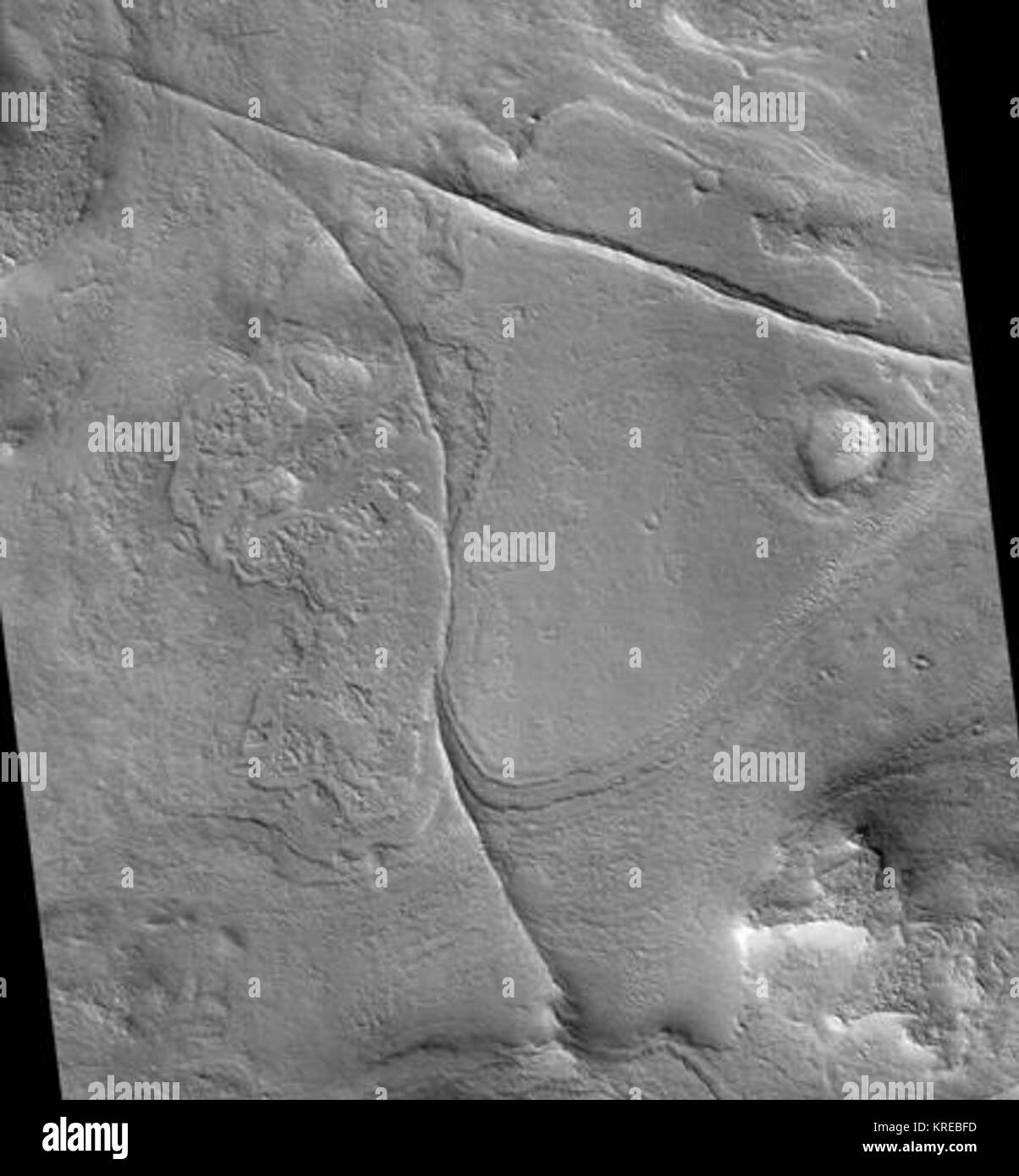 Coloe hi-res stock photography and images - Alamy