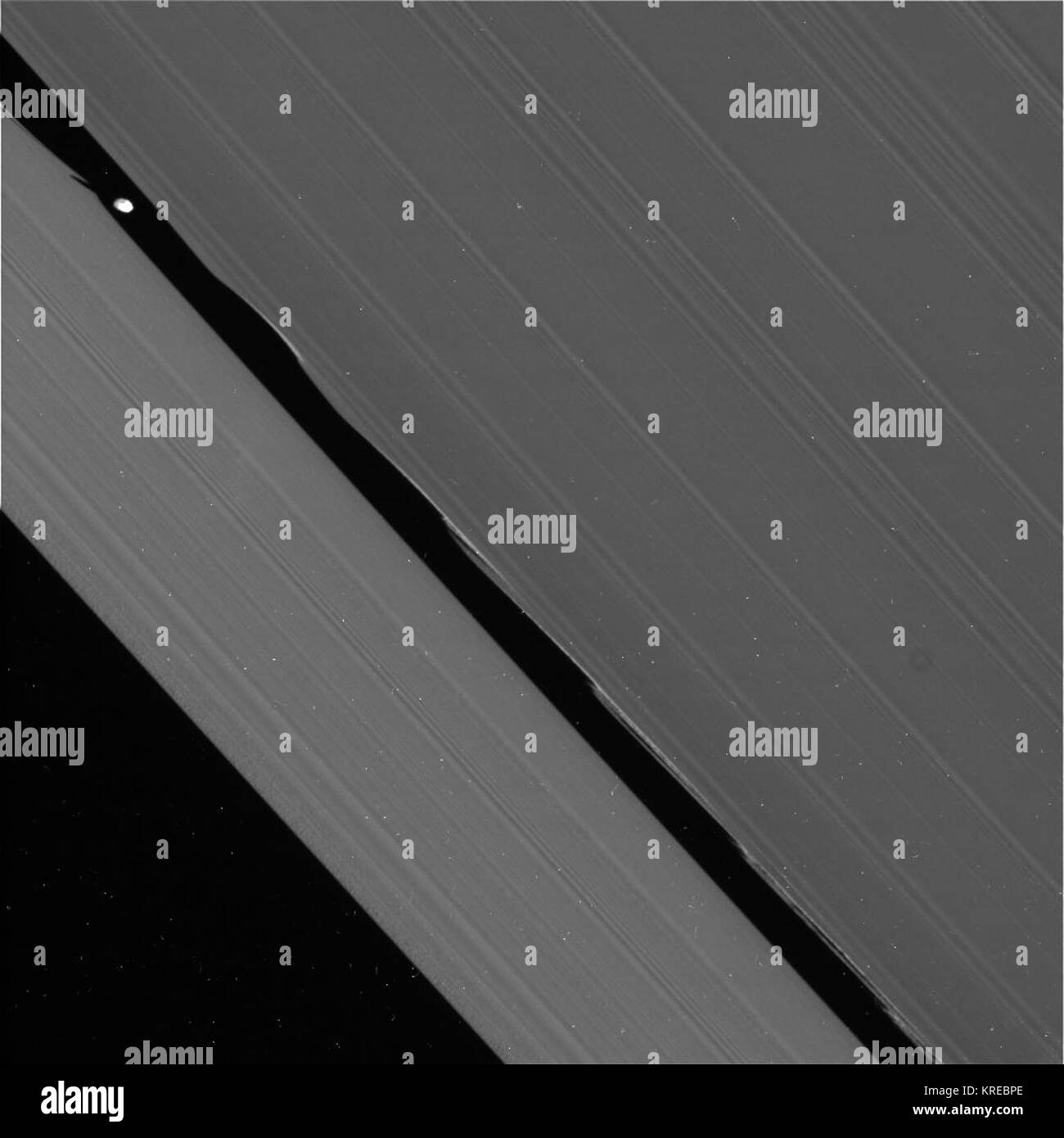 Daphnis Black and White Stock Photos & Images - Alamy