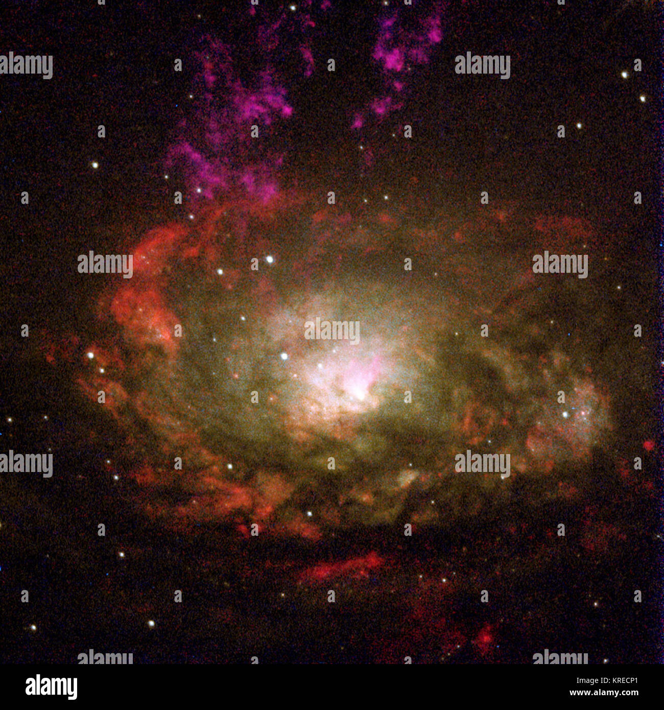 Circinus hi-res stock photography and images - Alamy