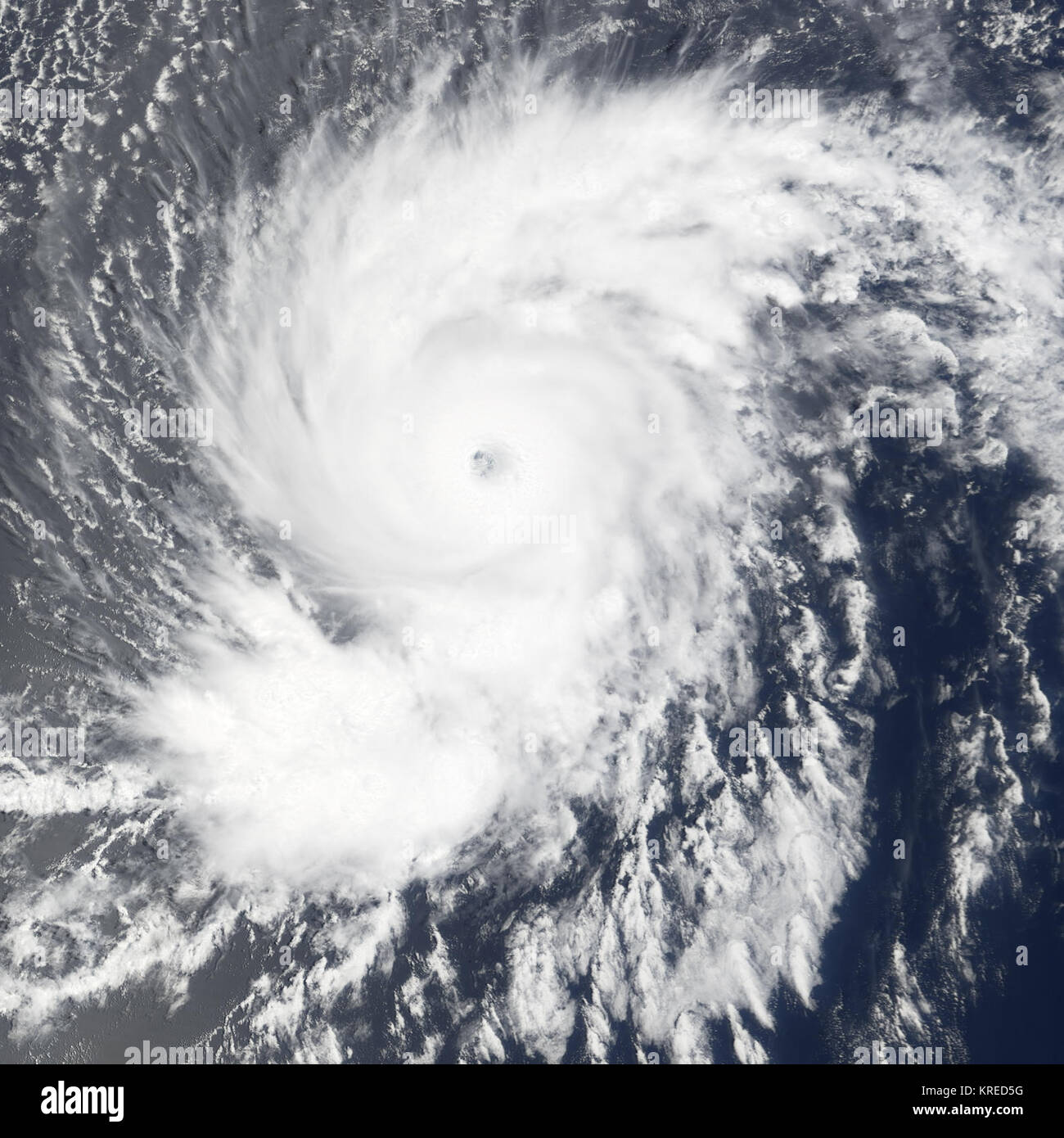 Flossie 11 aug 2007 2015Z Stock Photo - Alamy