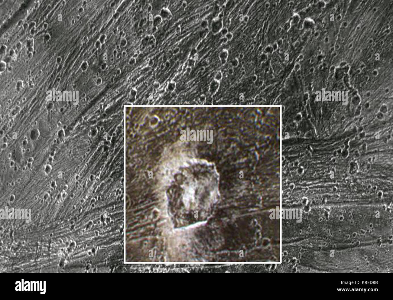 Kittu hi-res stock photography and images - Alamy